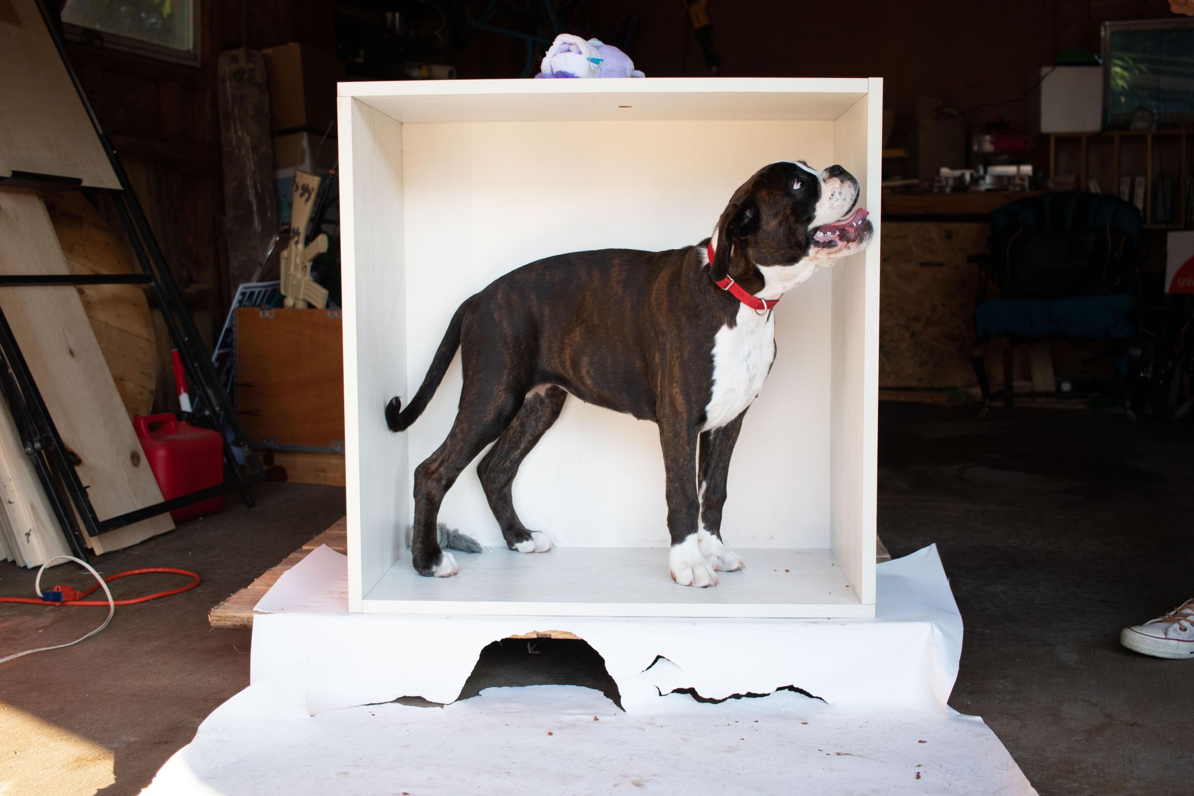 In the Box Photography : 10 Steps (with Pictures) - Instructables