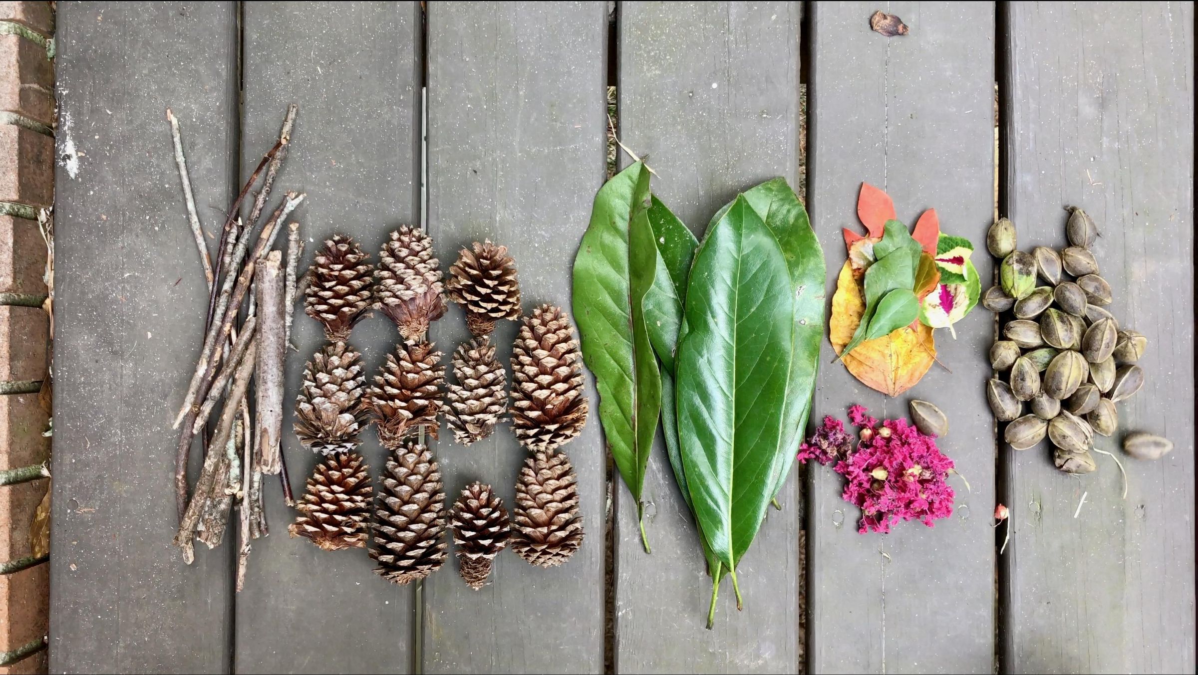 Nature Display : 4 Steps (with Pictures) - Instructables