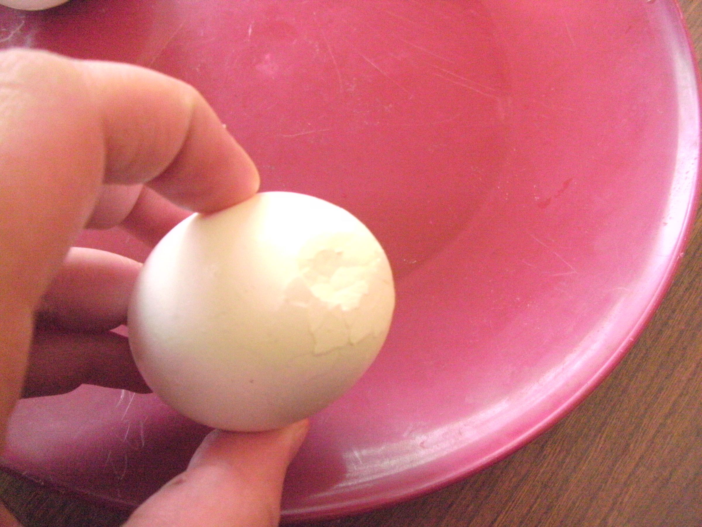 How to Egg Battle : 3 Steps - Instructables