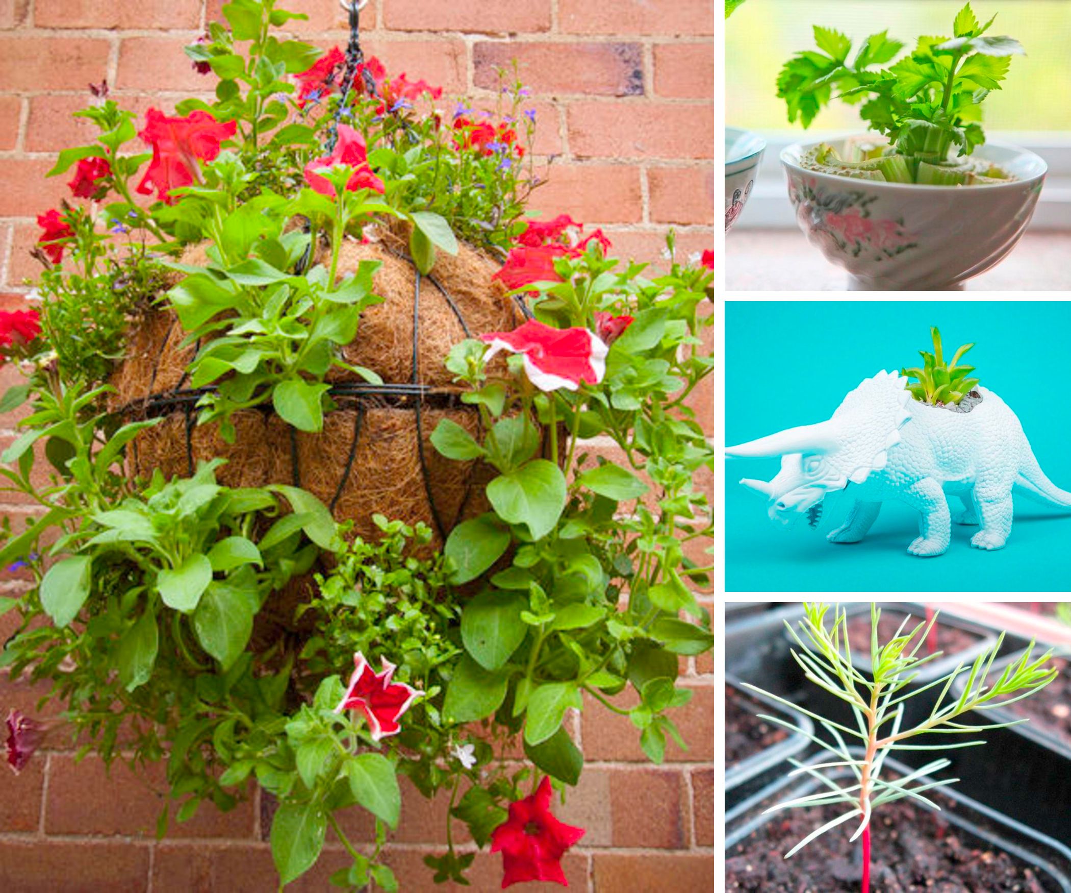 Gardening - Instructables