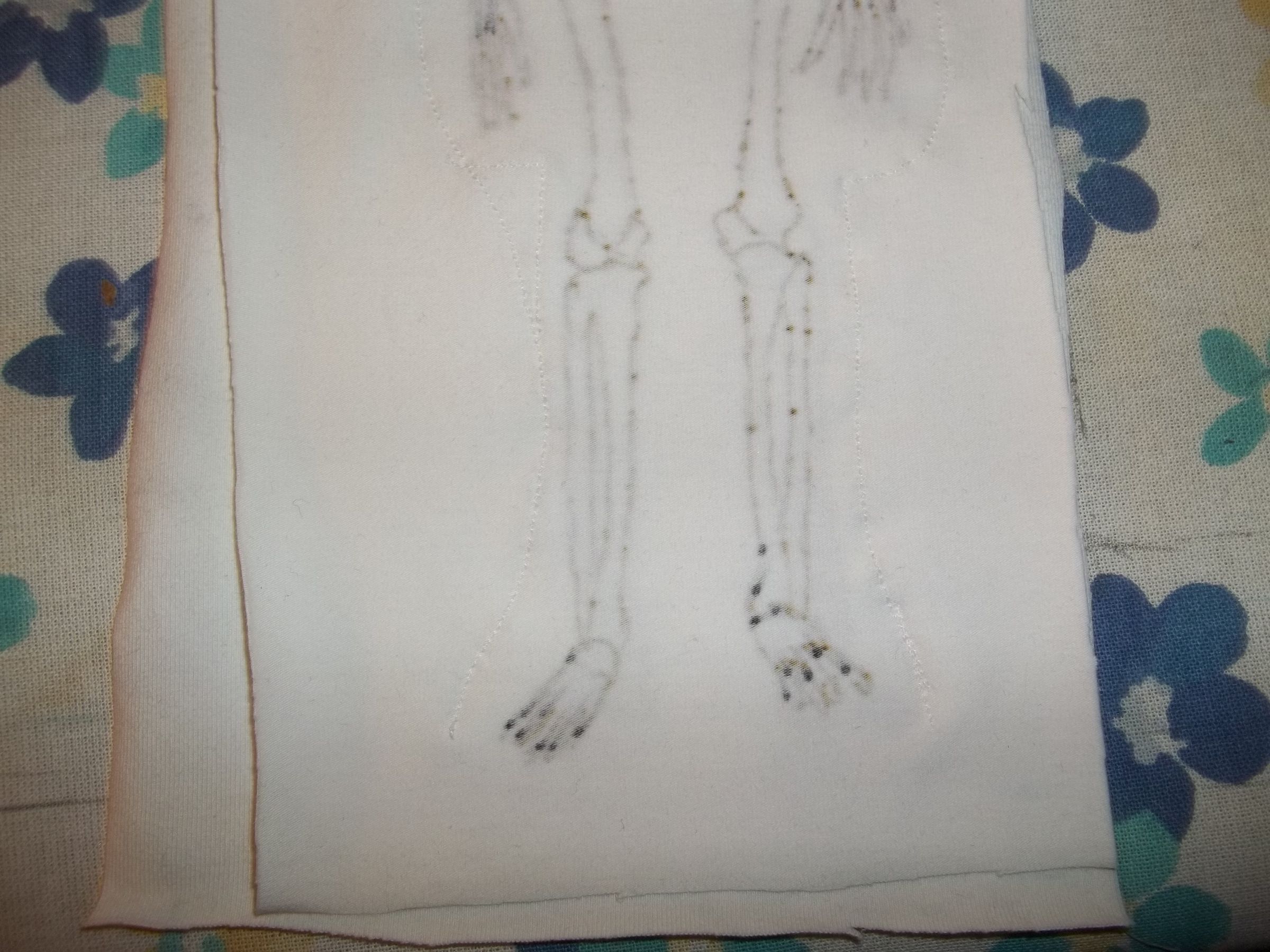 Model of the Human Skeleton : 4 Steps - Instructables