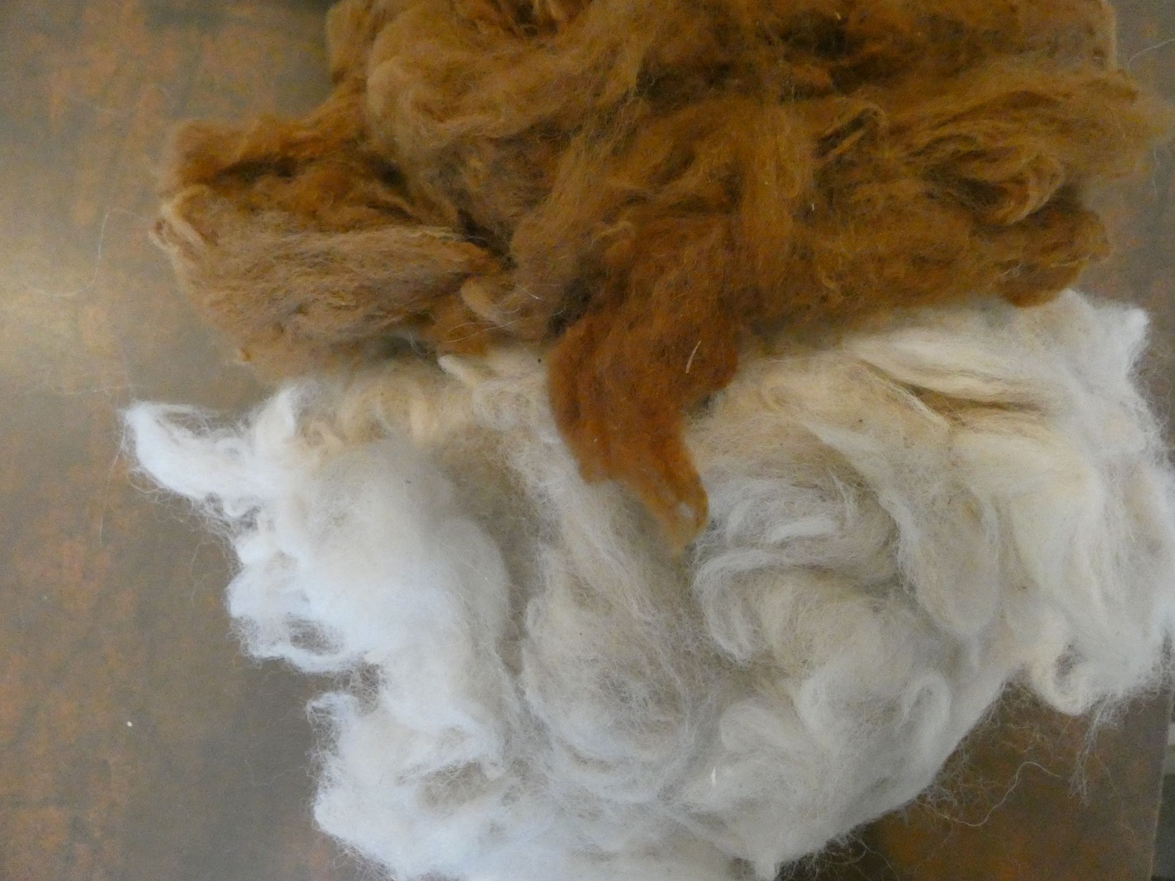 Alpaca Fleece . . . . Now What? : 10 Steps (with Pictures) - Instructables
