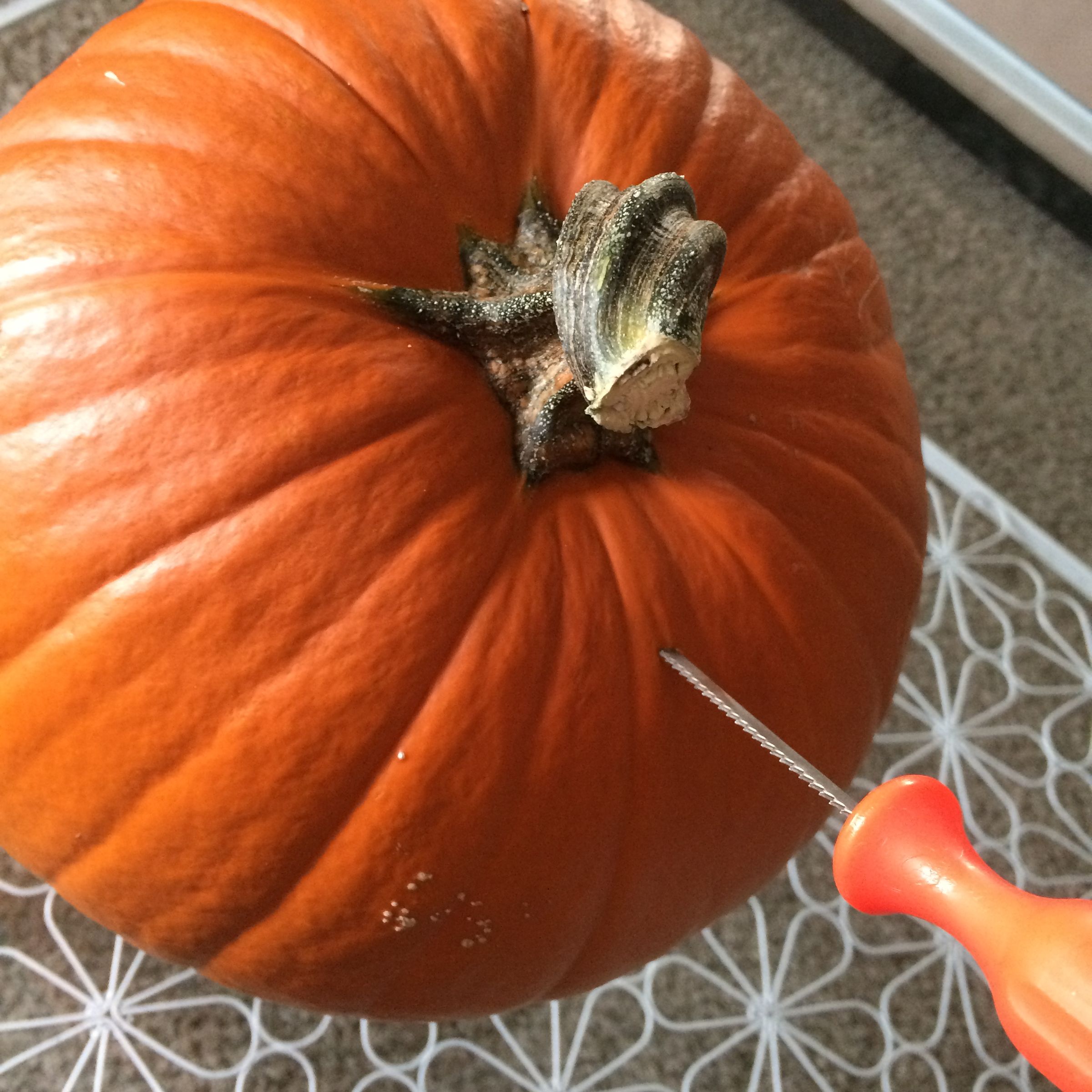 The Blight Is Upon Us!!! : 9 Steps (with Pictures) - Instructables