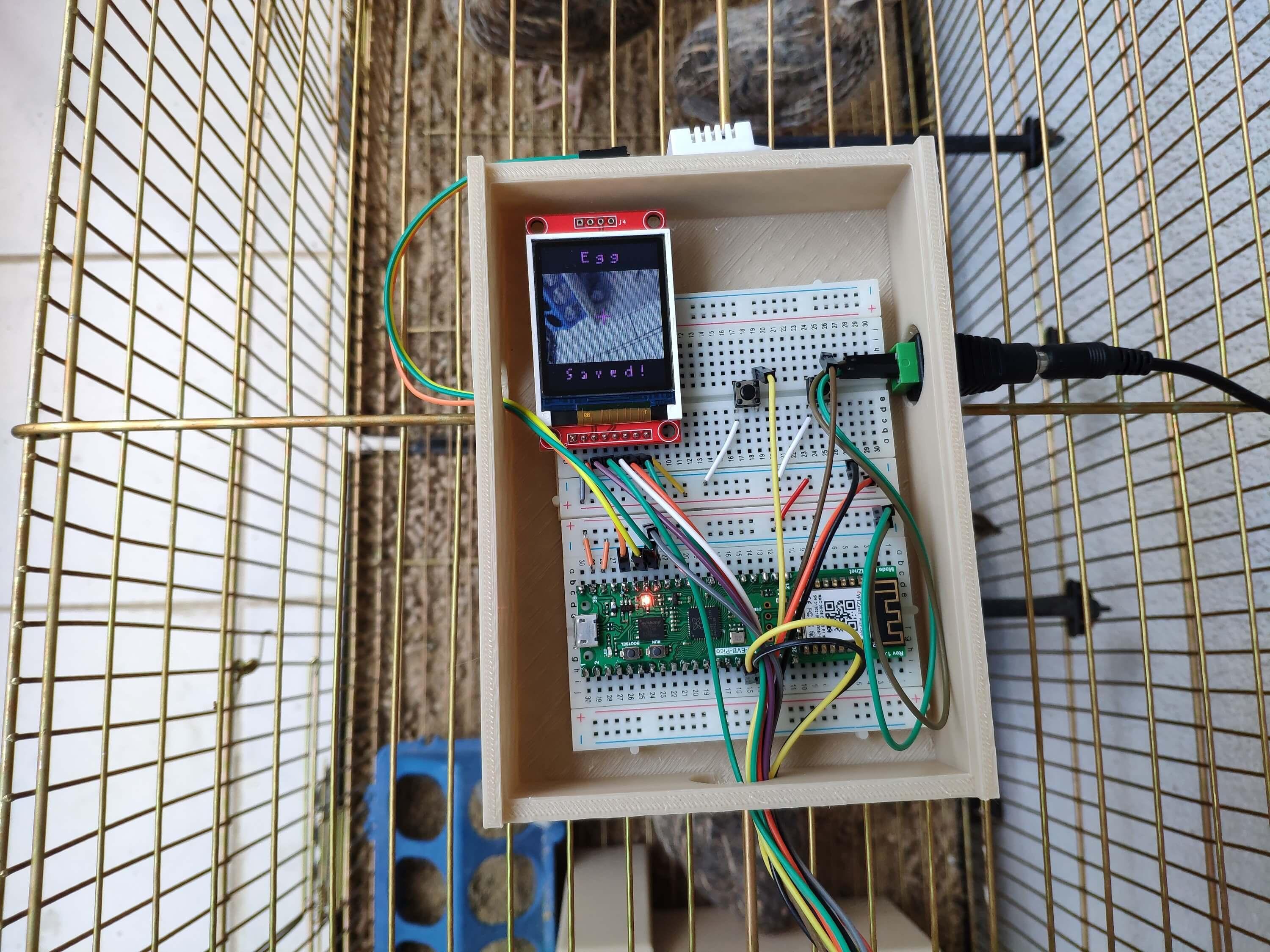 IoT AI-driven Poultry Feeder and Unhatched Egg Tracker W/ WhatsApp : 20 ...