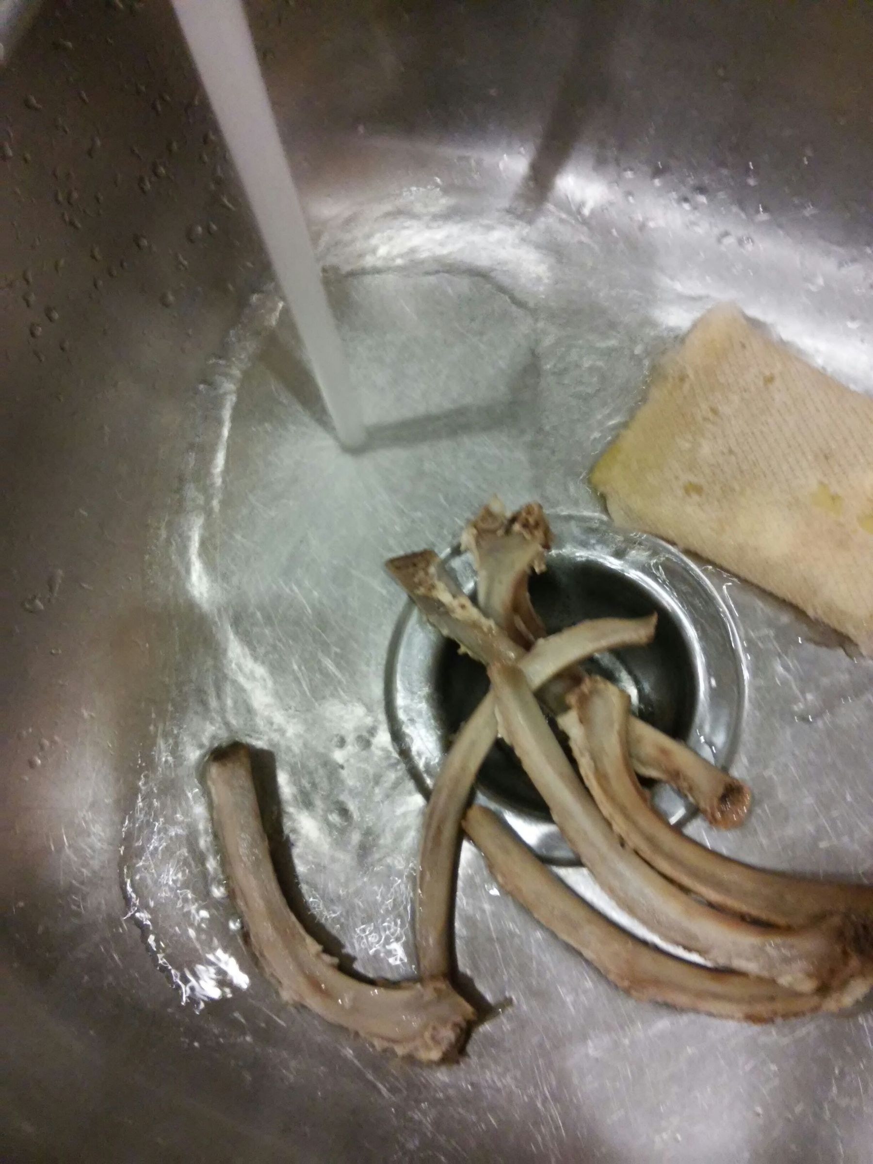 Bone Necklace : 5 Steps (with Pictures) - Instructables