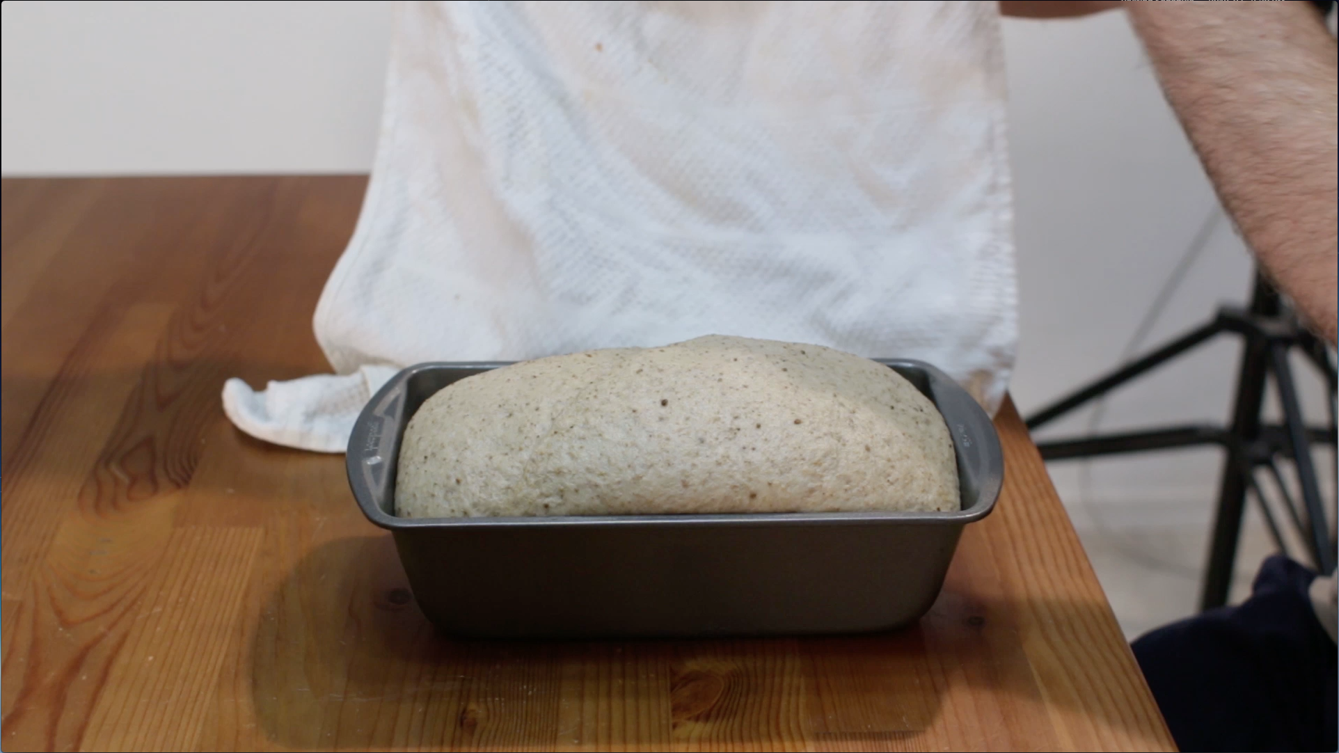 Acorn Bread : 10 Steps (with Pictures) - Instructables