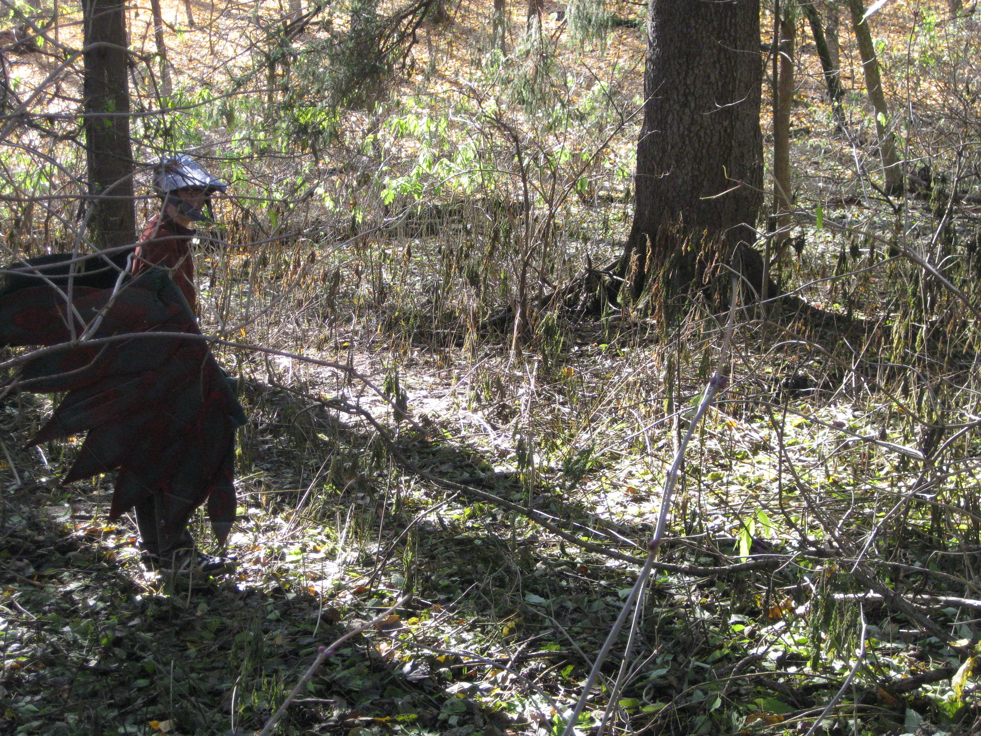 Pterodactyl Costume - Instructables