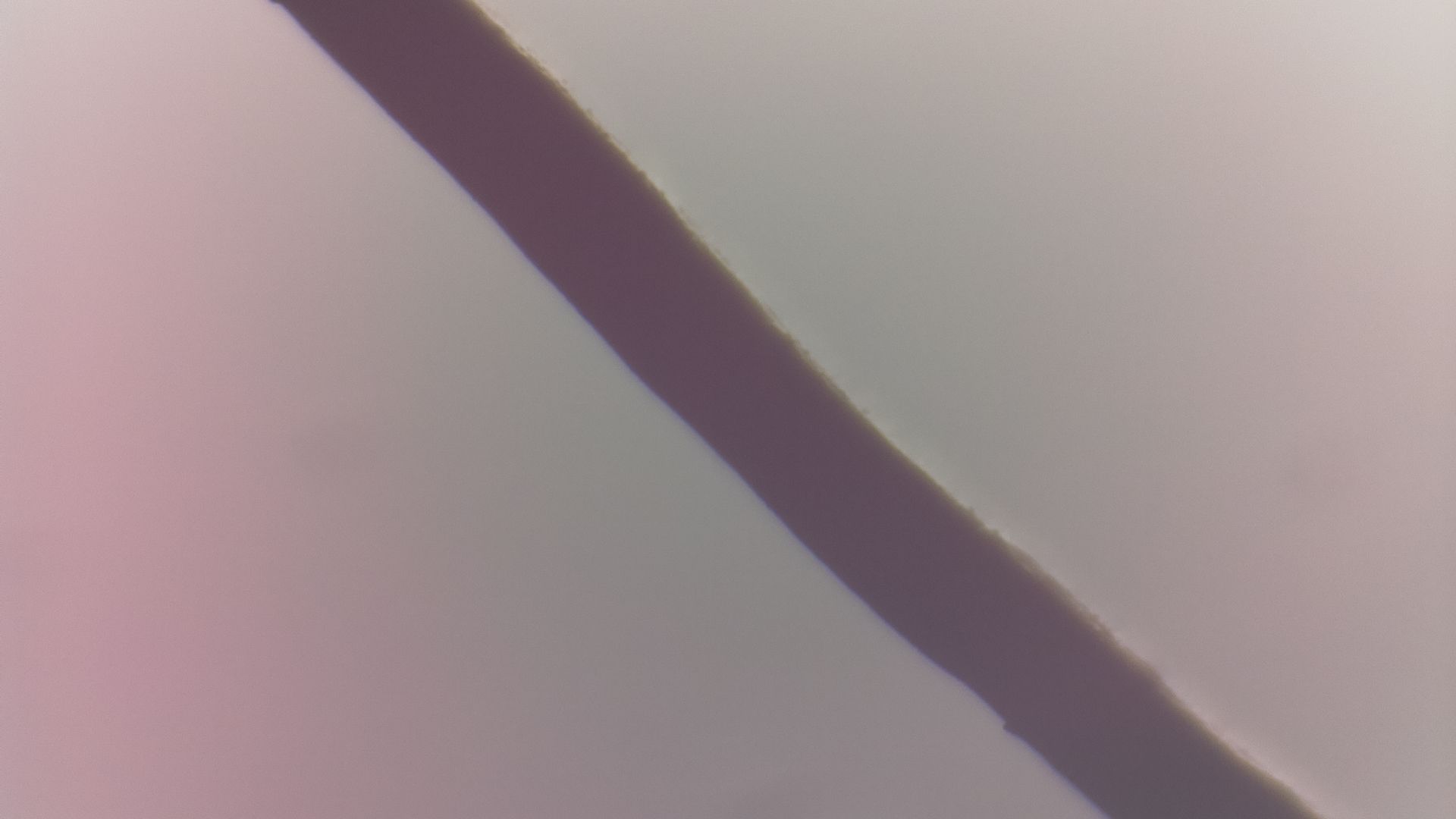 Picroscope: Low-Cost Interactive Microscope : 12 Steps (with Pictures ...