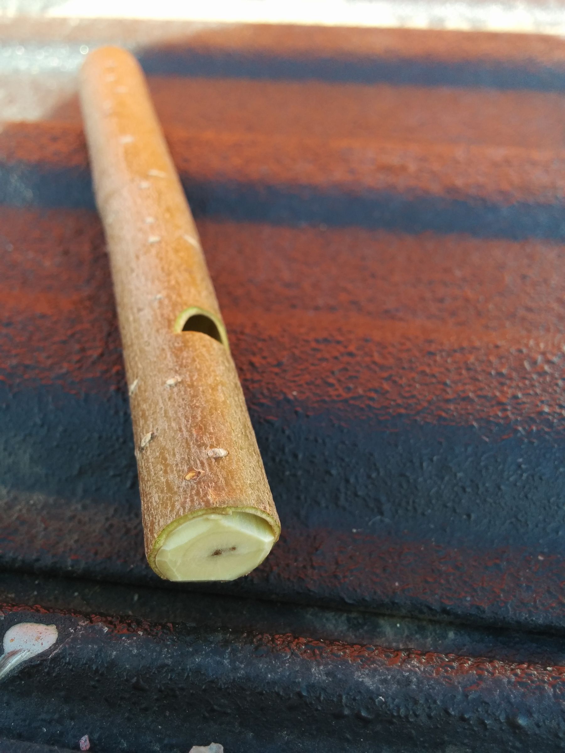 Stick Bark Whistle : 10 Steps (with Pictures) - Instructables