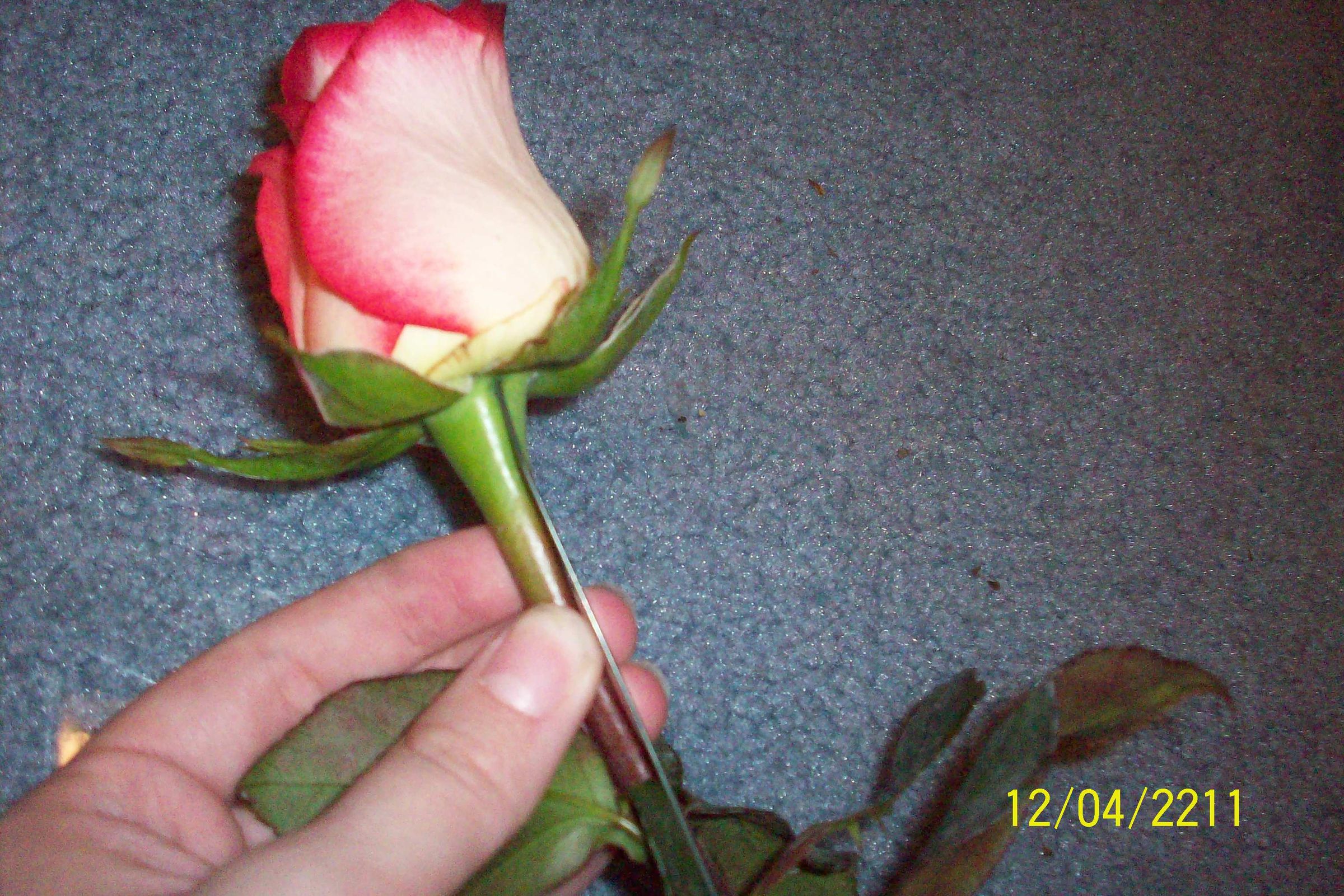 How to Make a Flower Wrap the Right Way. : 6 Steps - Instructables