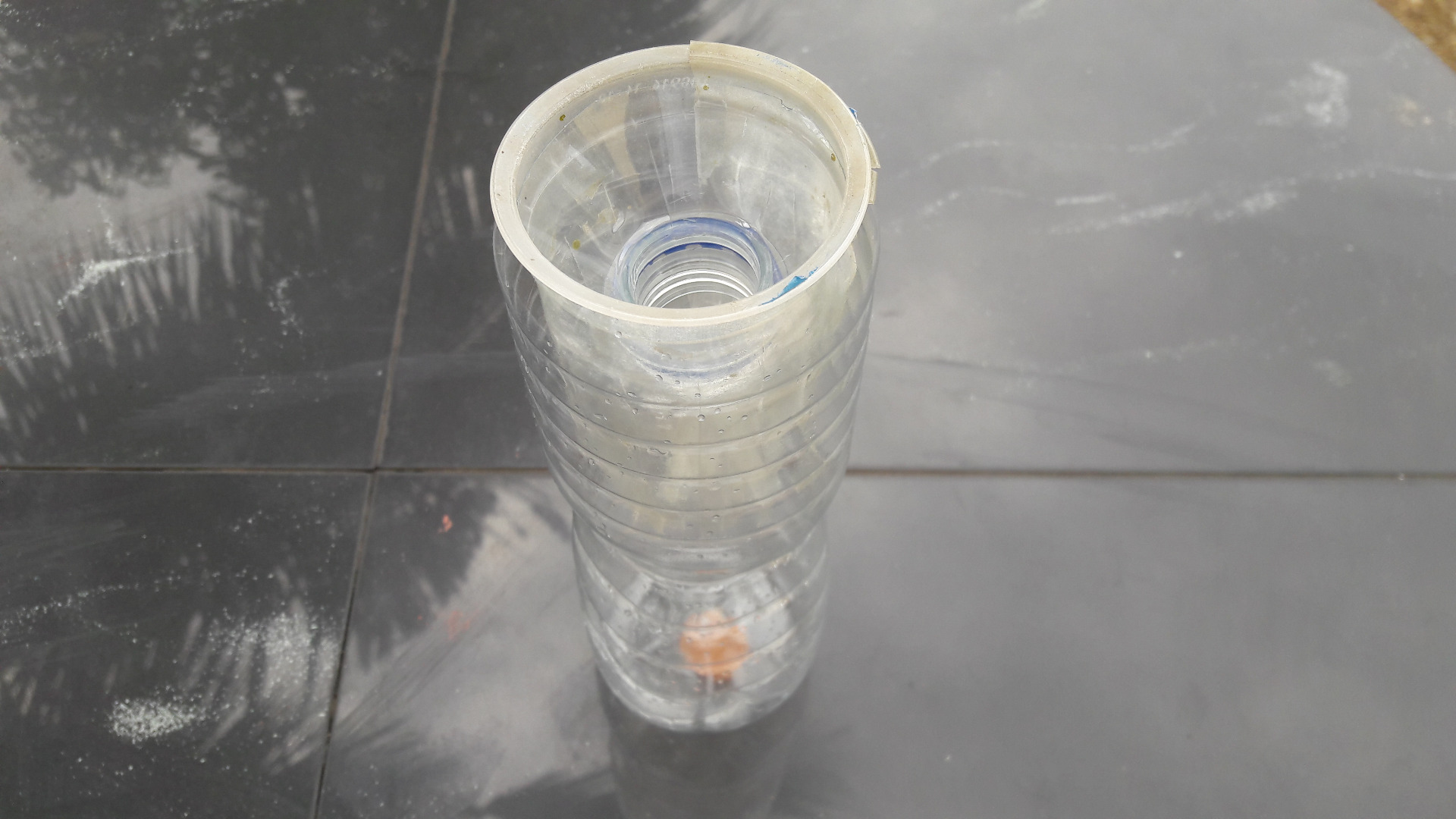 Cockroach Trap : 5 Steps - Instructables