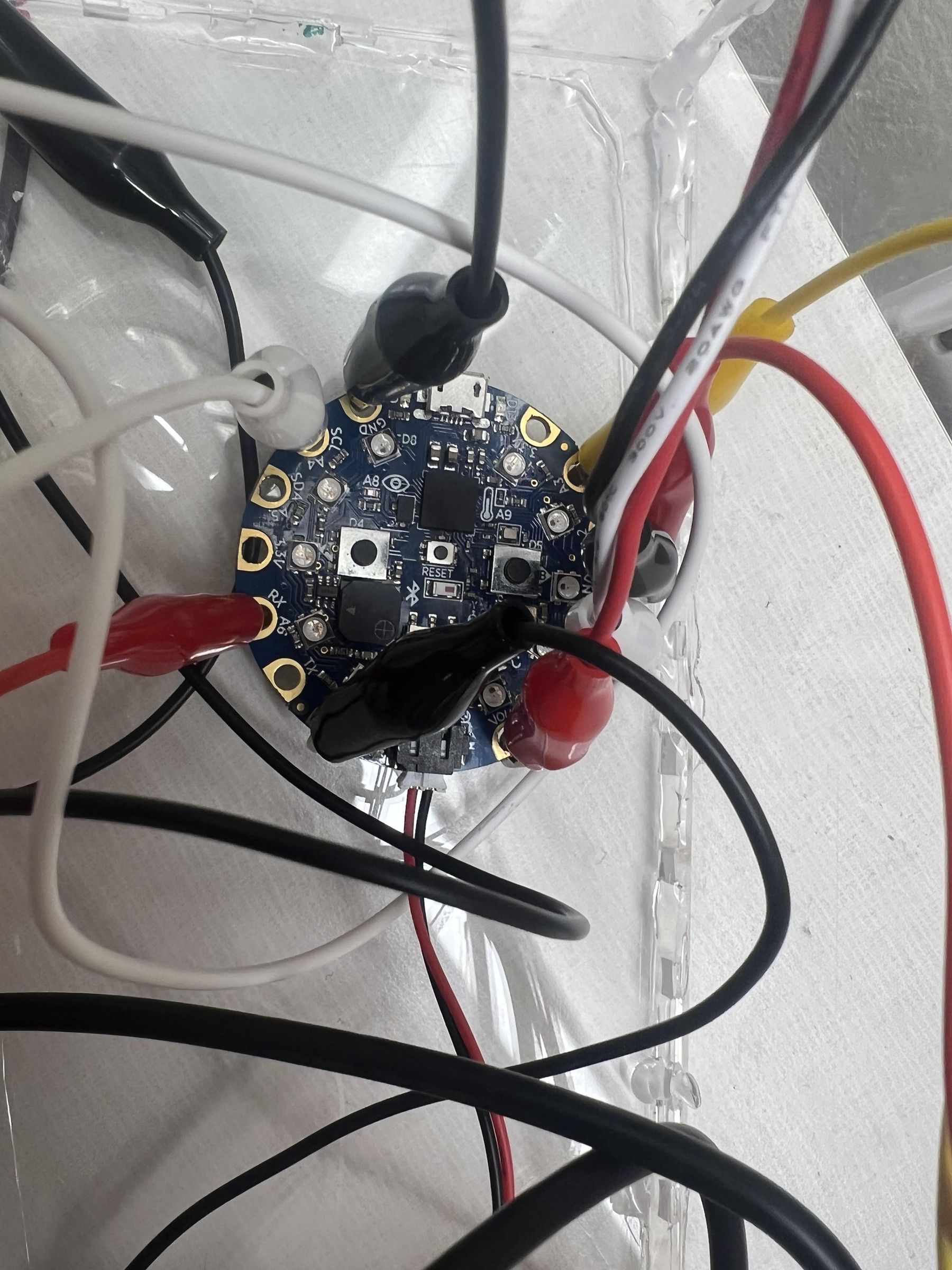 Jungle Adventure Themed Assistive Technology Game With CircuitPython ...