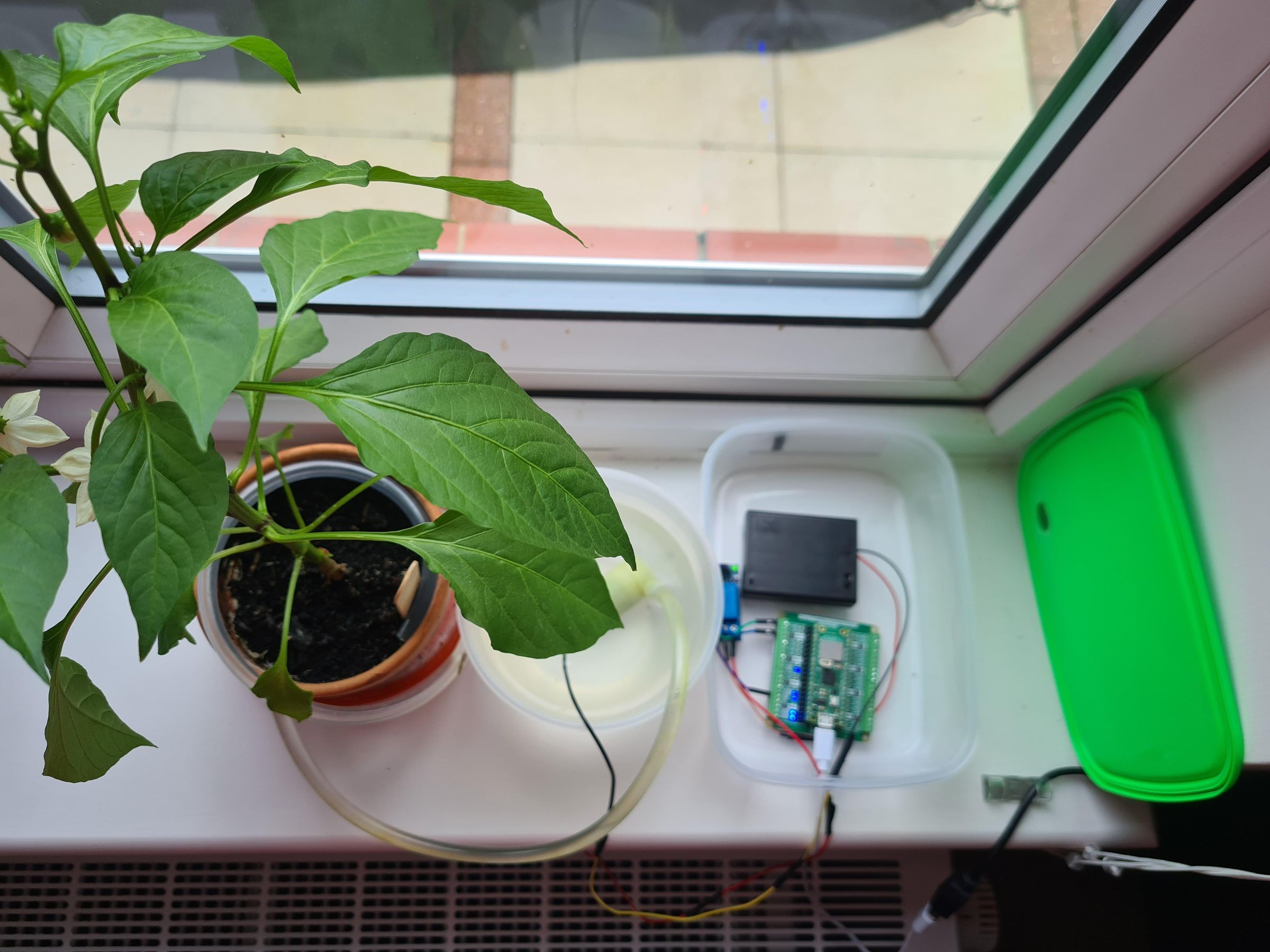 PlantyPi - Raspberry Pi Pico Plant Watering Device. : 6 Steps (with ...