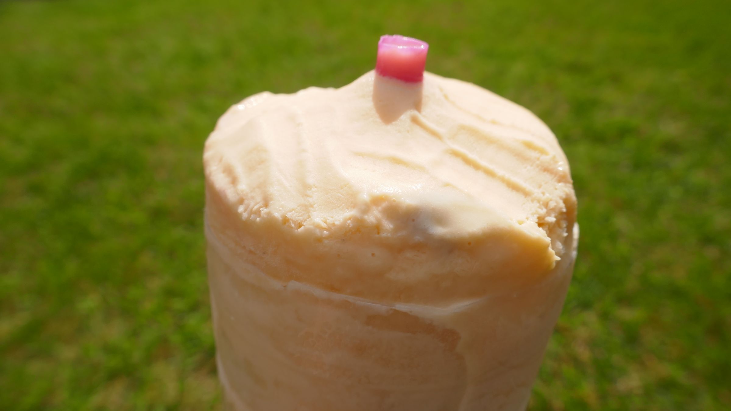 DIY Push-Up Ice : 14 Steps (with Pictures) - Instructables