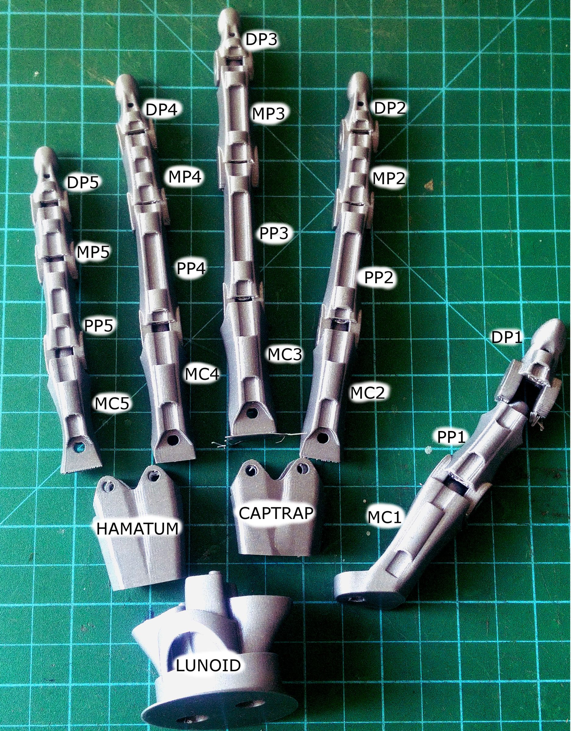 3D Printed Bionic Hand Skeleton : 8 Steps (with Pictures) - Instructables