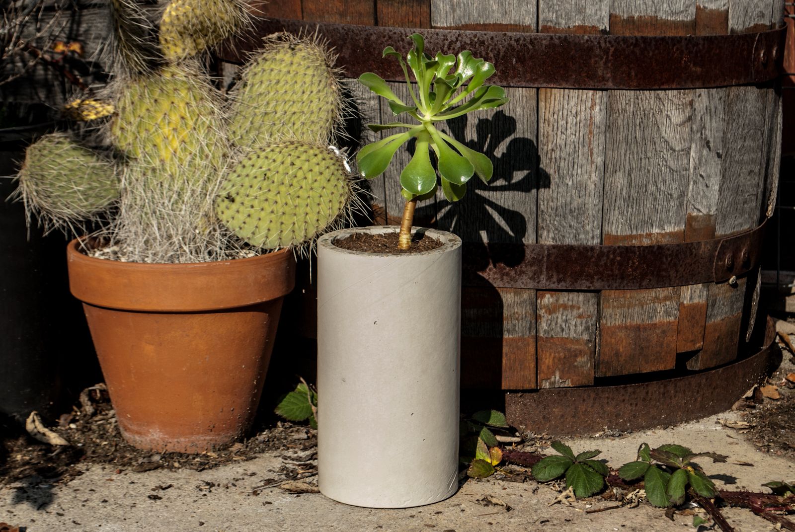 DIY CONCRETE:: Cylinders From Cardboard Tubes : 7 Steps (with Pictures ...