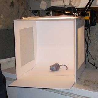 Foldable Homemade Light Box : 6 Steps (with Pictures) - Instructables