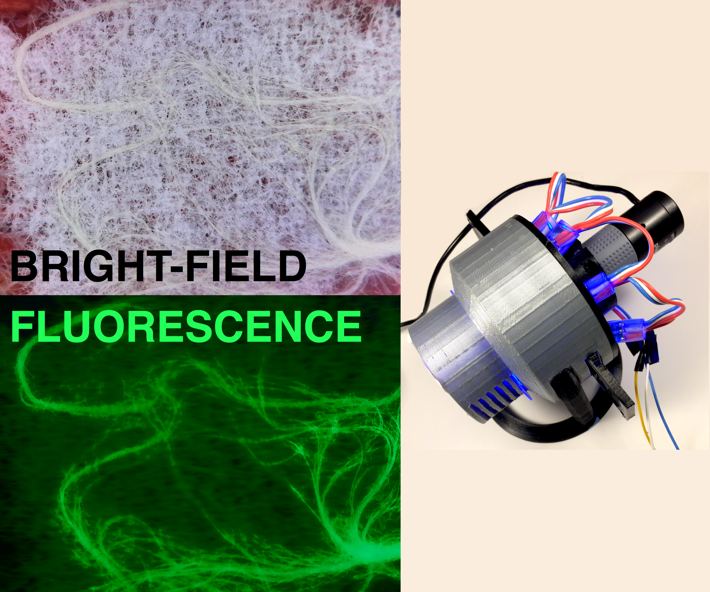 Low-cost Fluorescence and Brightfield Microscopes : 9 Steps (with ...
