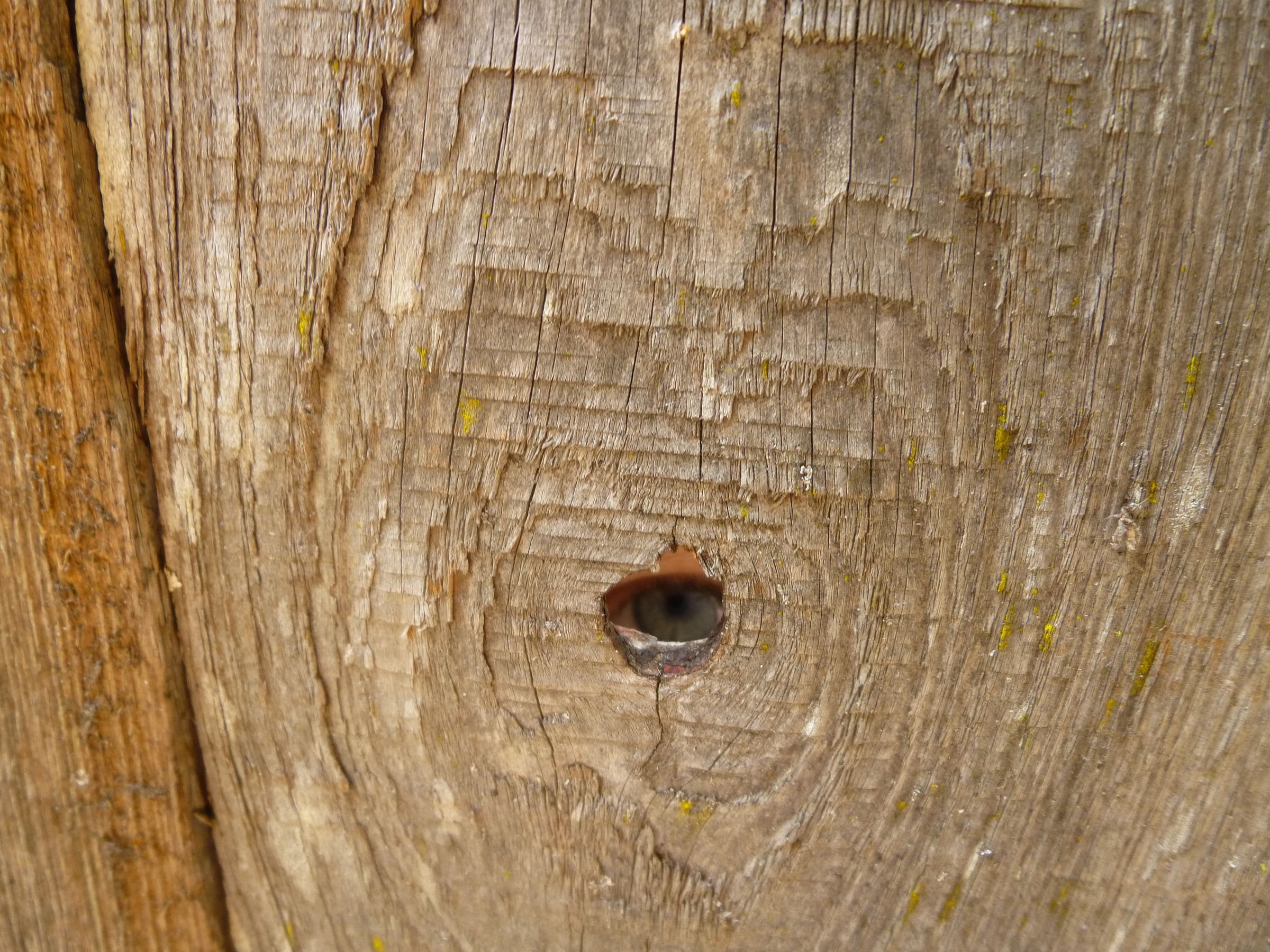Top Secret Spy Hole! : 5 Steps - Instructables