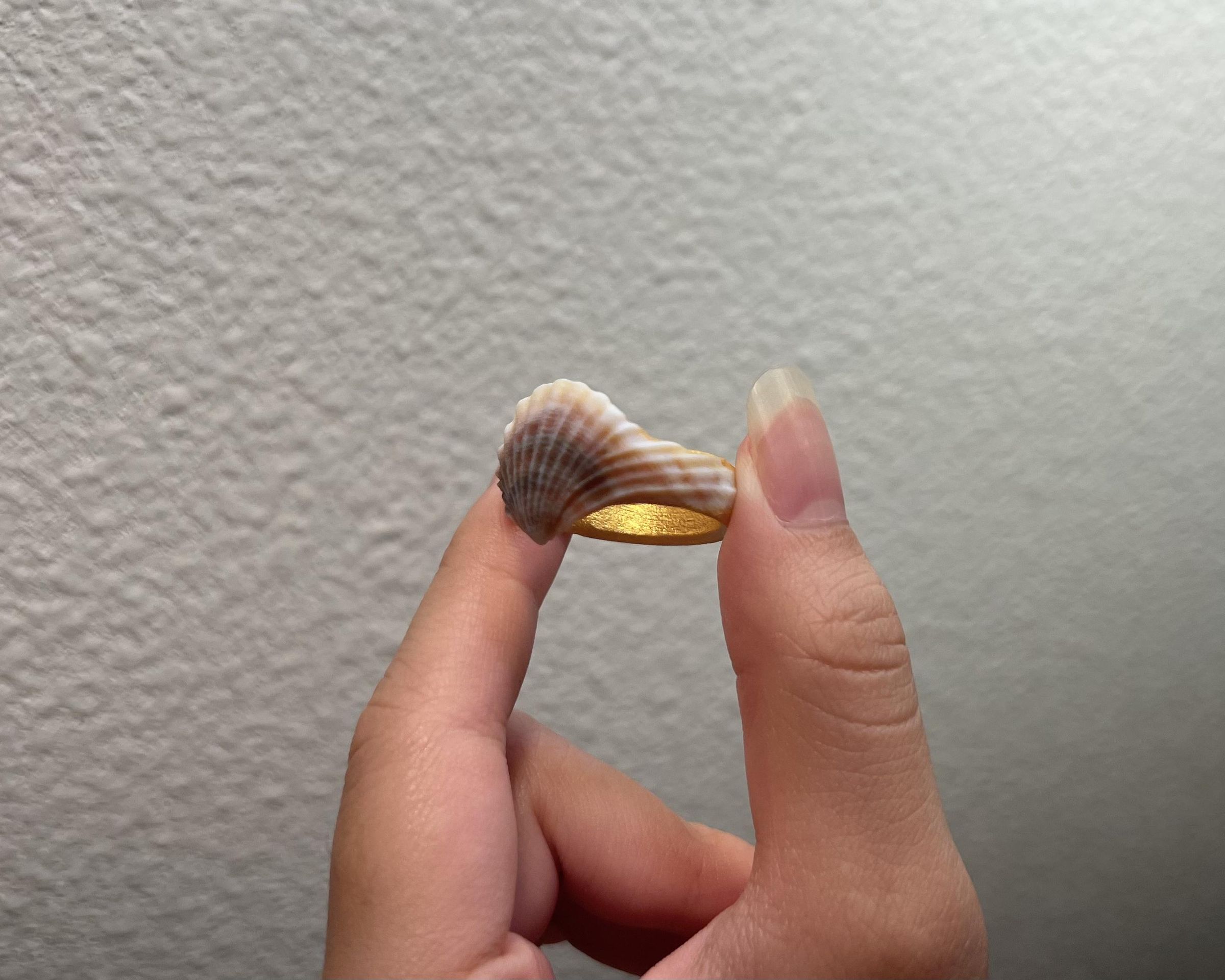 Seashell Ring : 7 Steps - Instructables