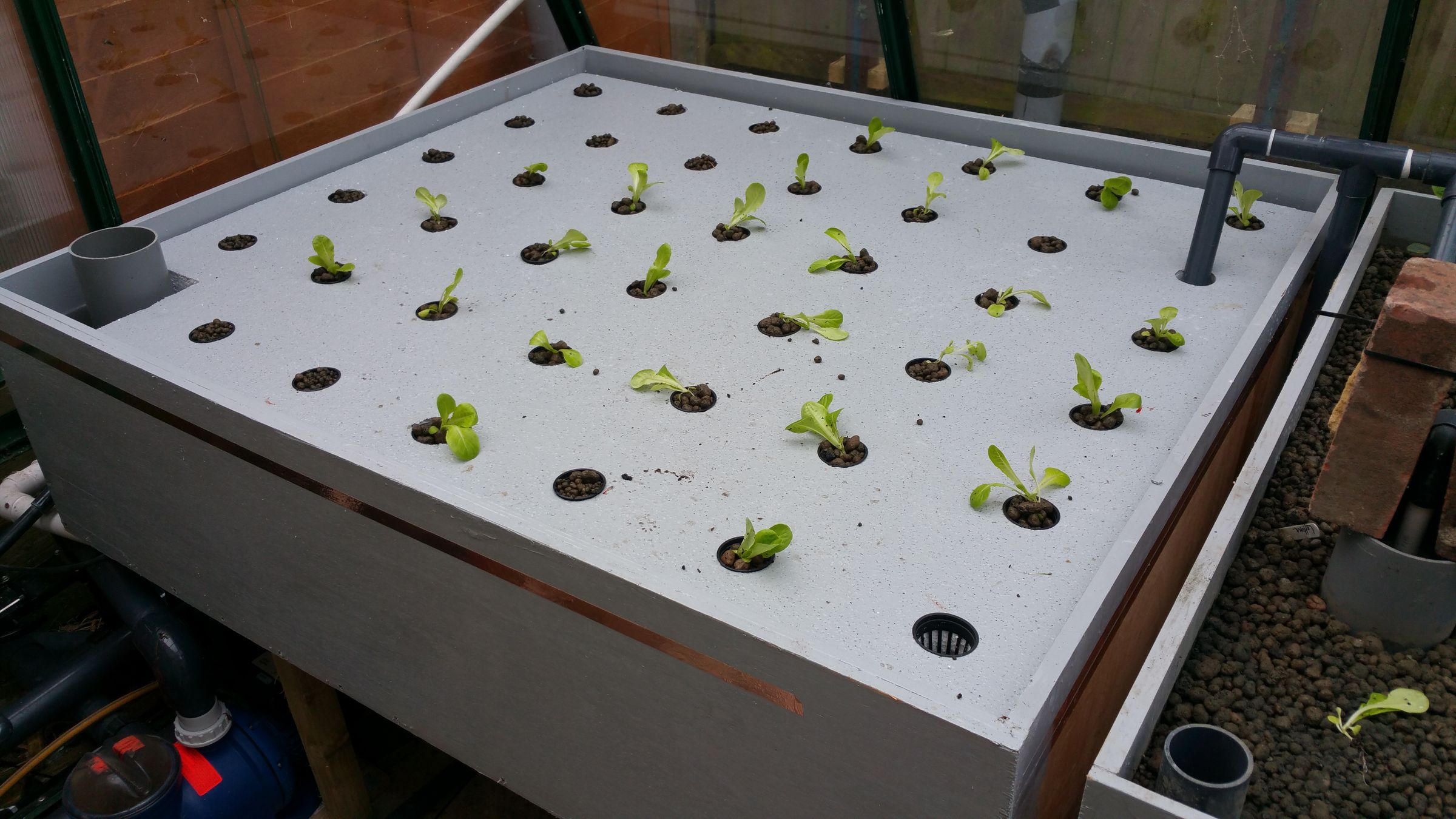 Building an Aquaponic Grow Bed Flood and Drain. : 10 Steps (with ...