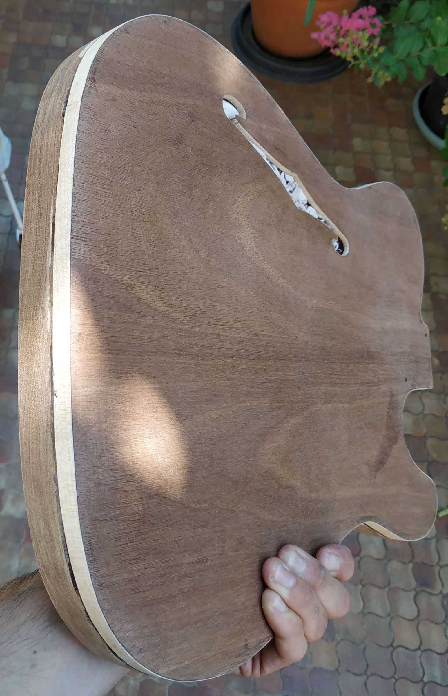 Building a Guitar: Telecaster Thinline : 12 Steps (with Pictures ...