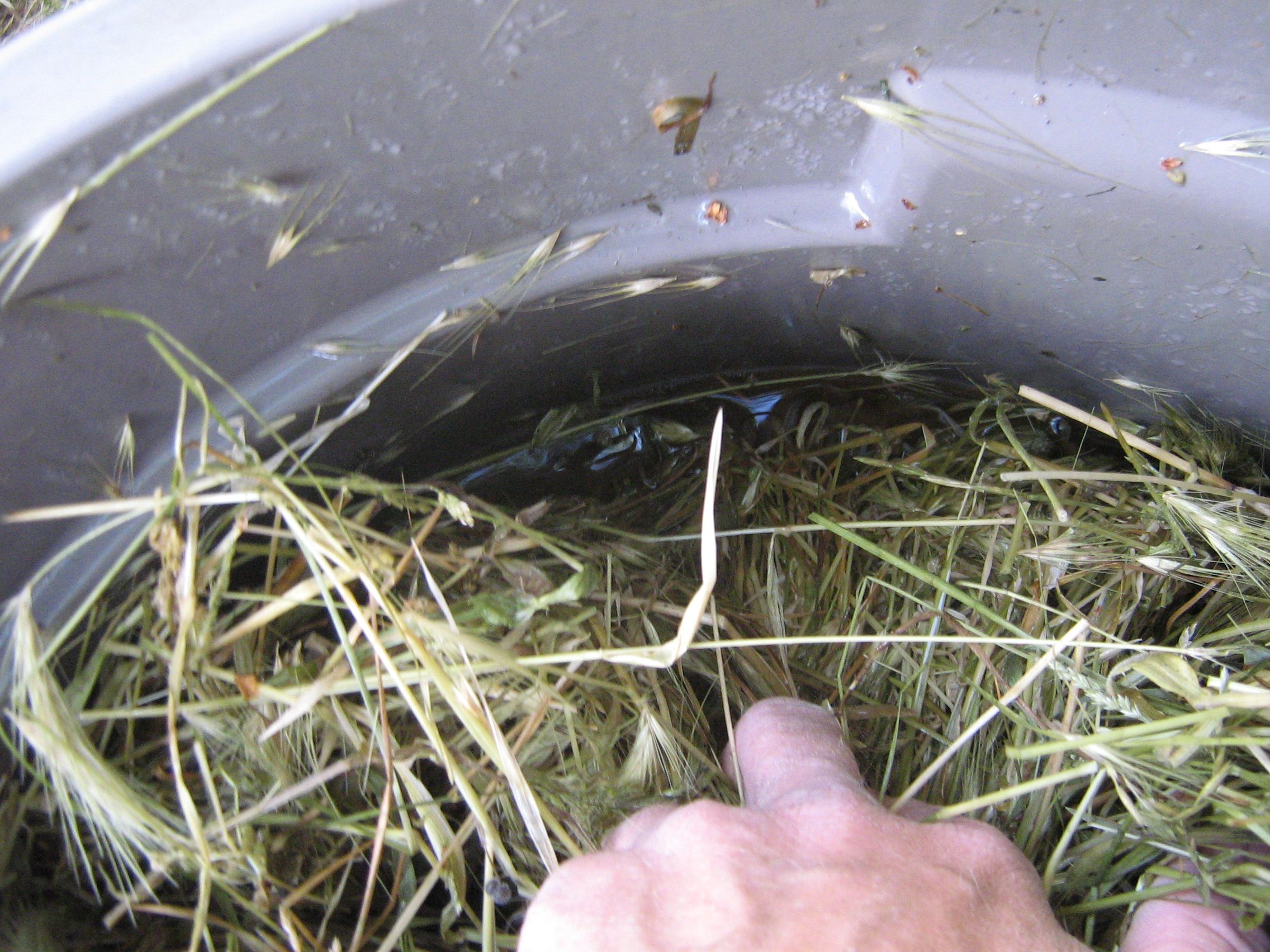 Wet Compost Using Yeast or Lactic Fermentation (was Sustainable Slug ...