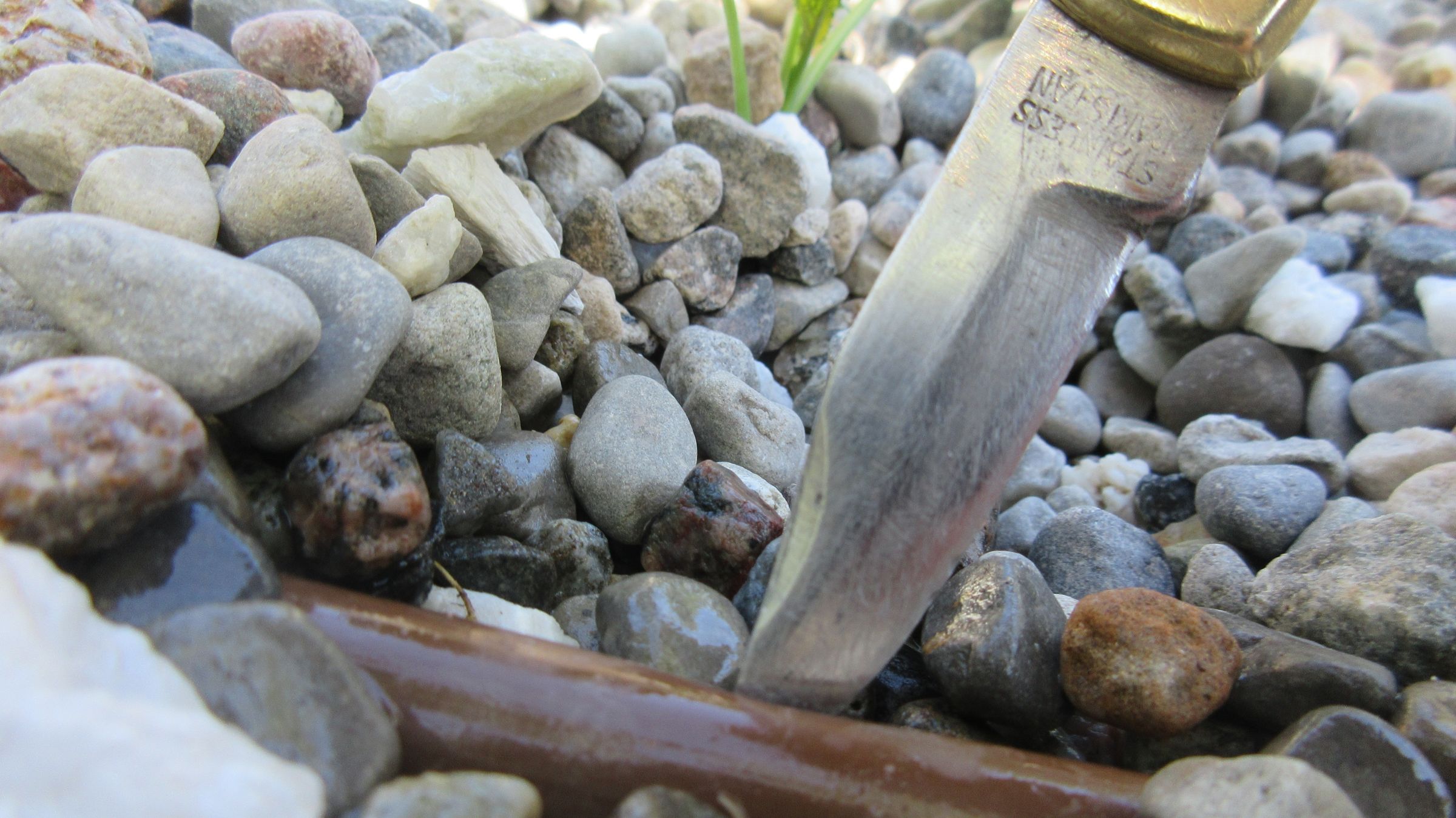 Going Down the Fish Pit : 8 Steps (with Pictures) - Instructables