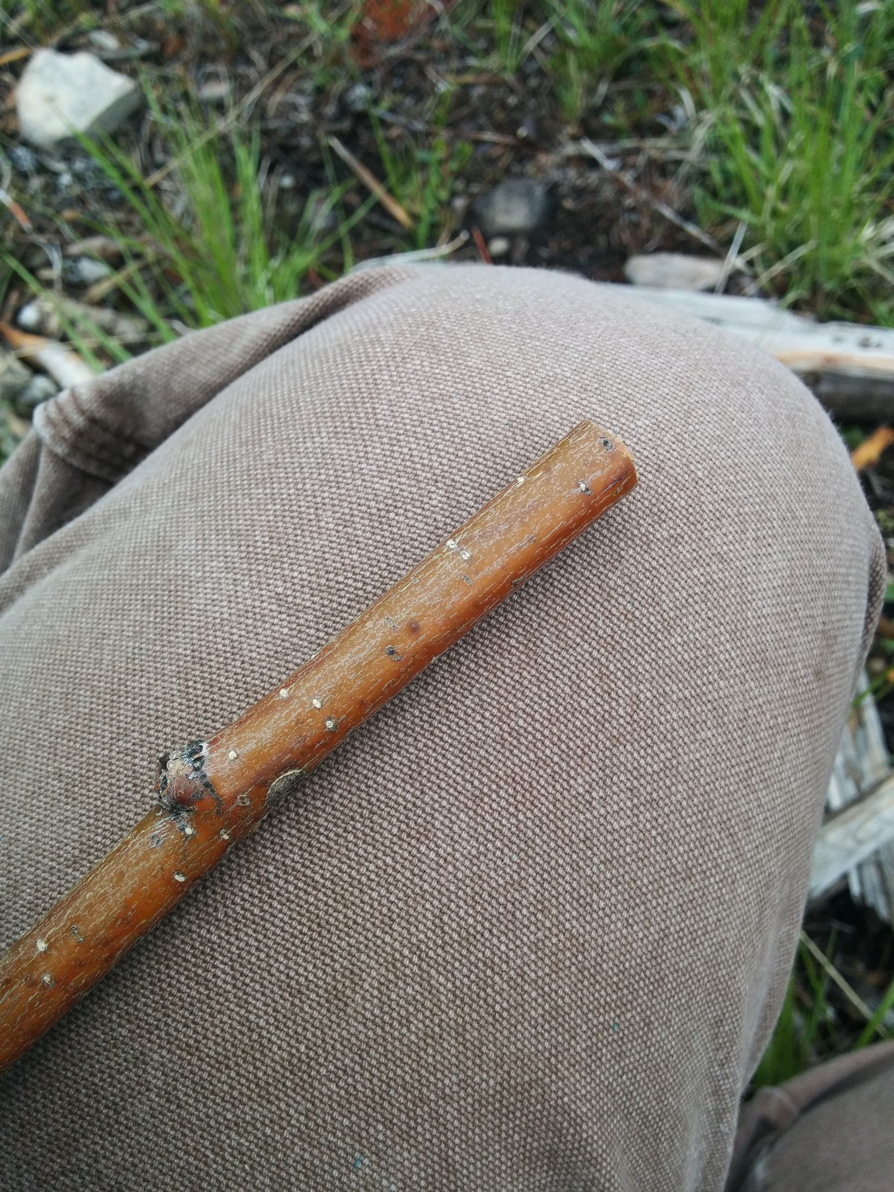Stick Bark Whistle : 10 Steps (with Pictures) - Instructables