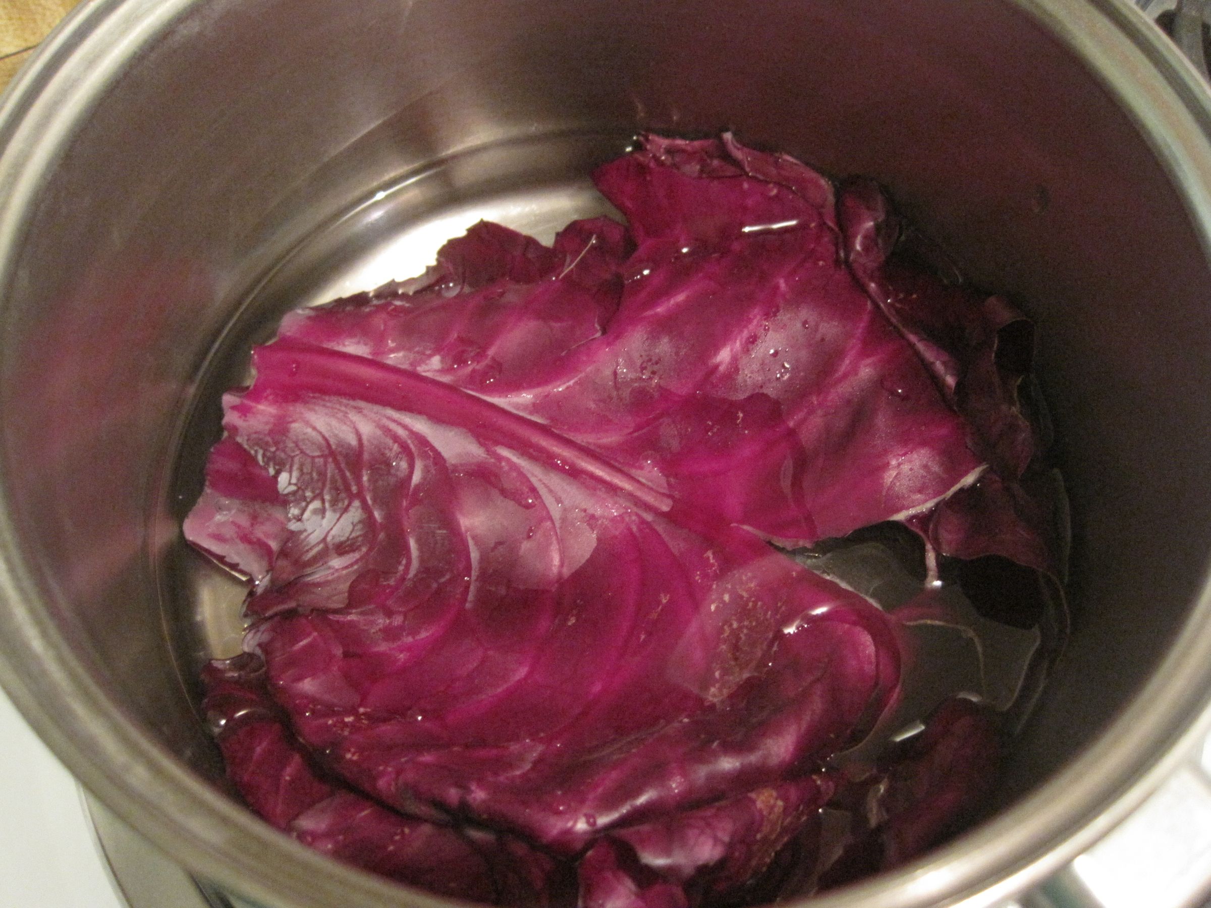 Red Cabbage PH Indicator : 14 Steps - Instructables