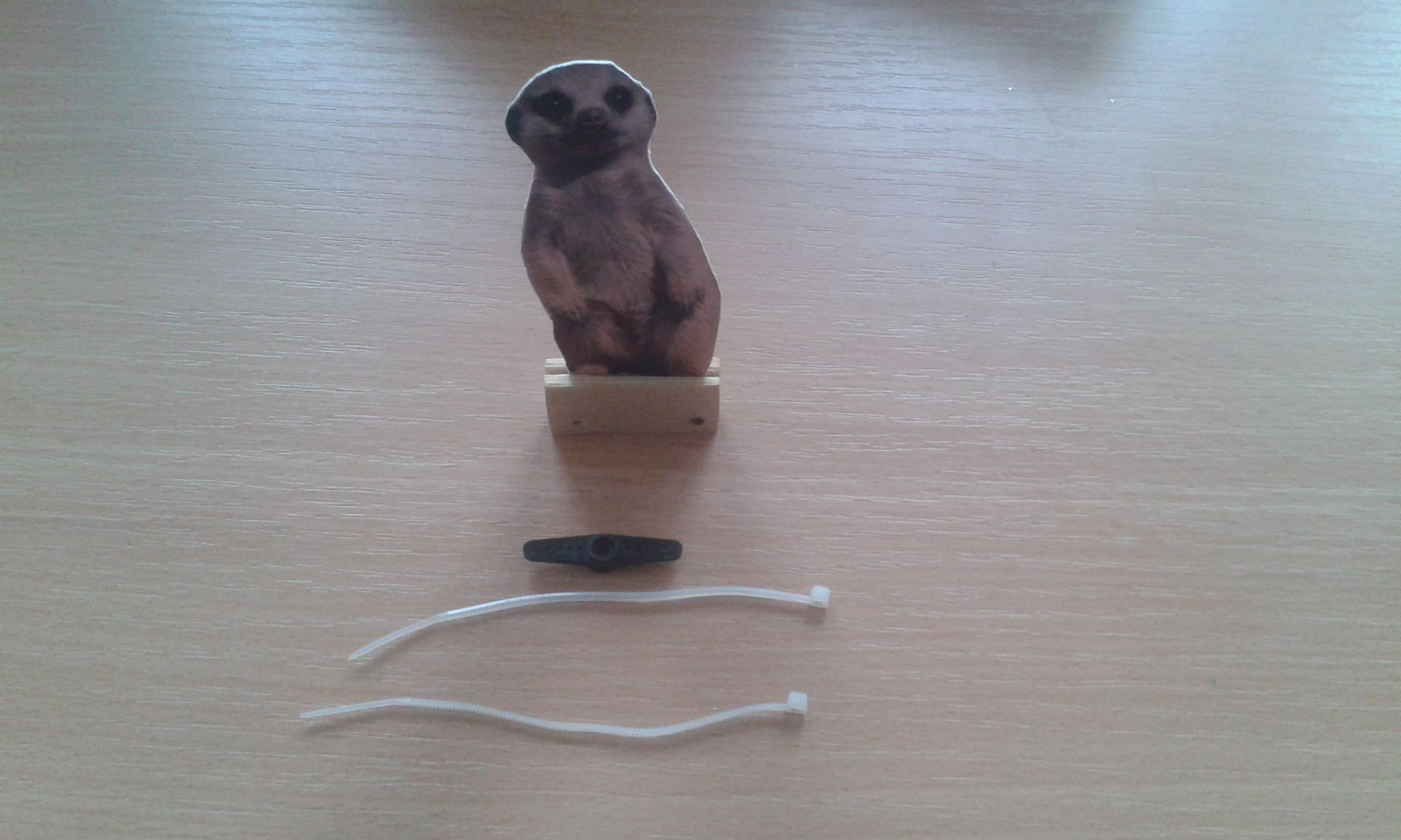 Dancing Meerkat : 5 Steps (with Pictures) - Instructables
