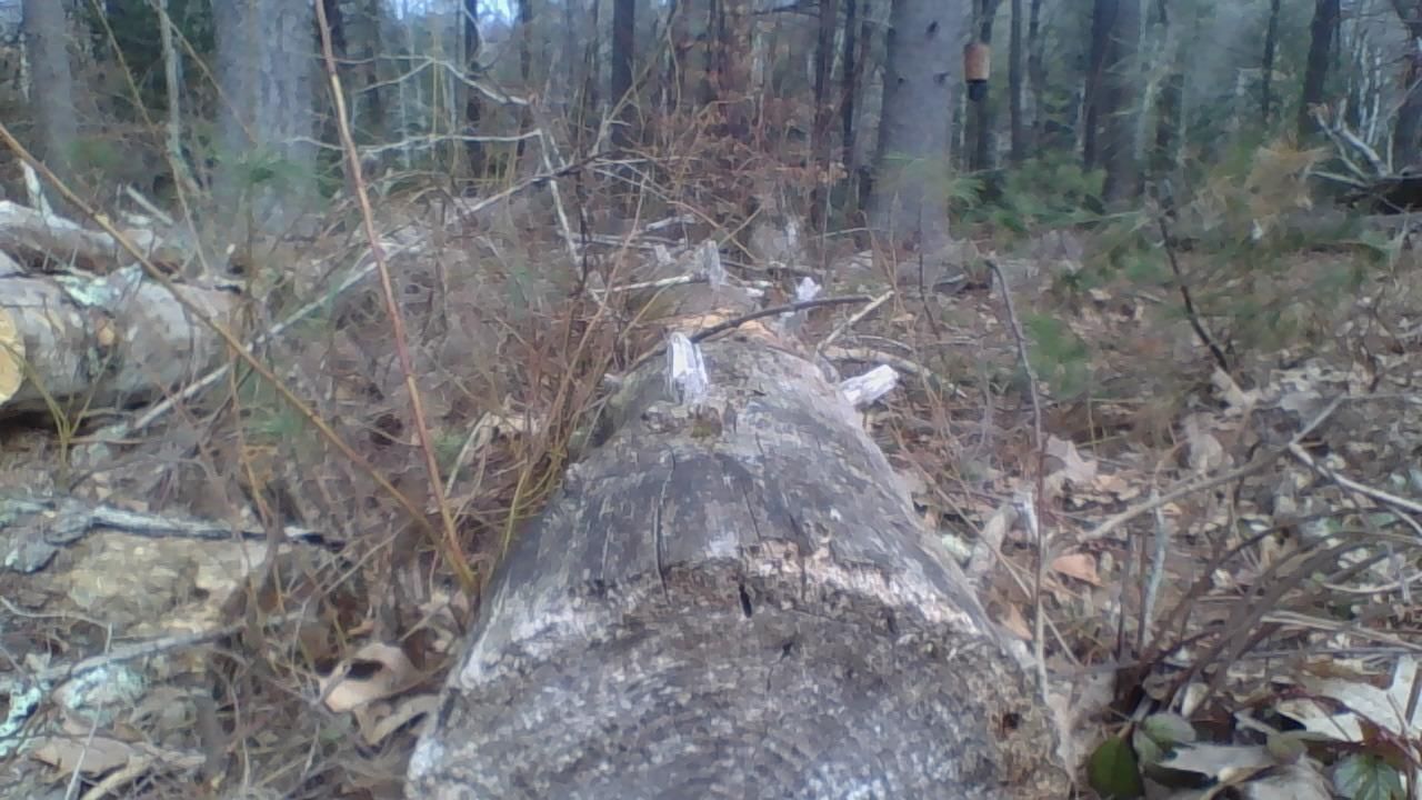 DIY Lever Lifter : 4 Steps - Instructables