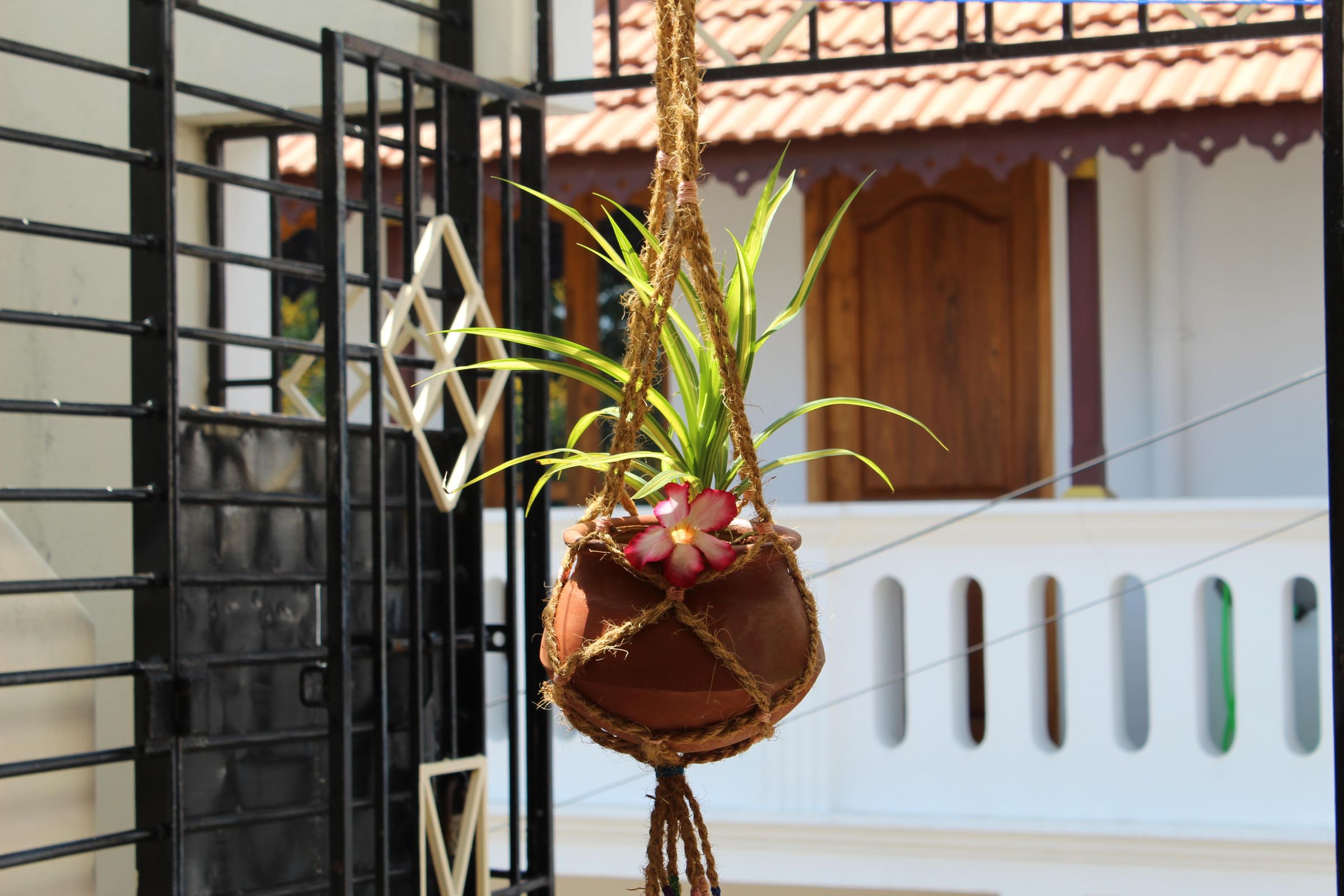 DIY Jute Rope Plant Hanger : 6 Steps (with Pictures) - Instructables