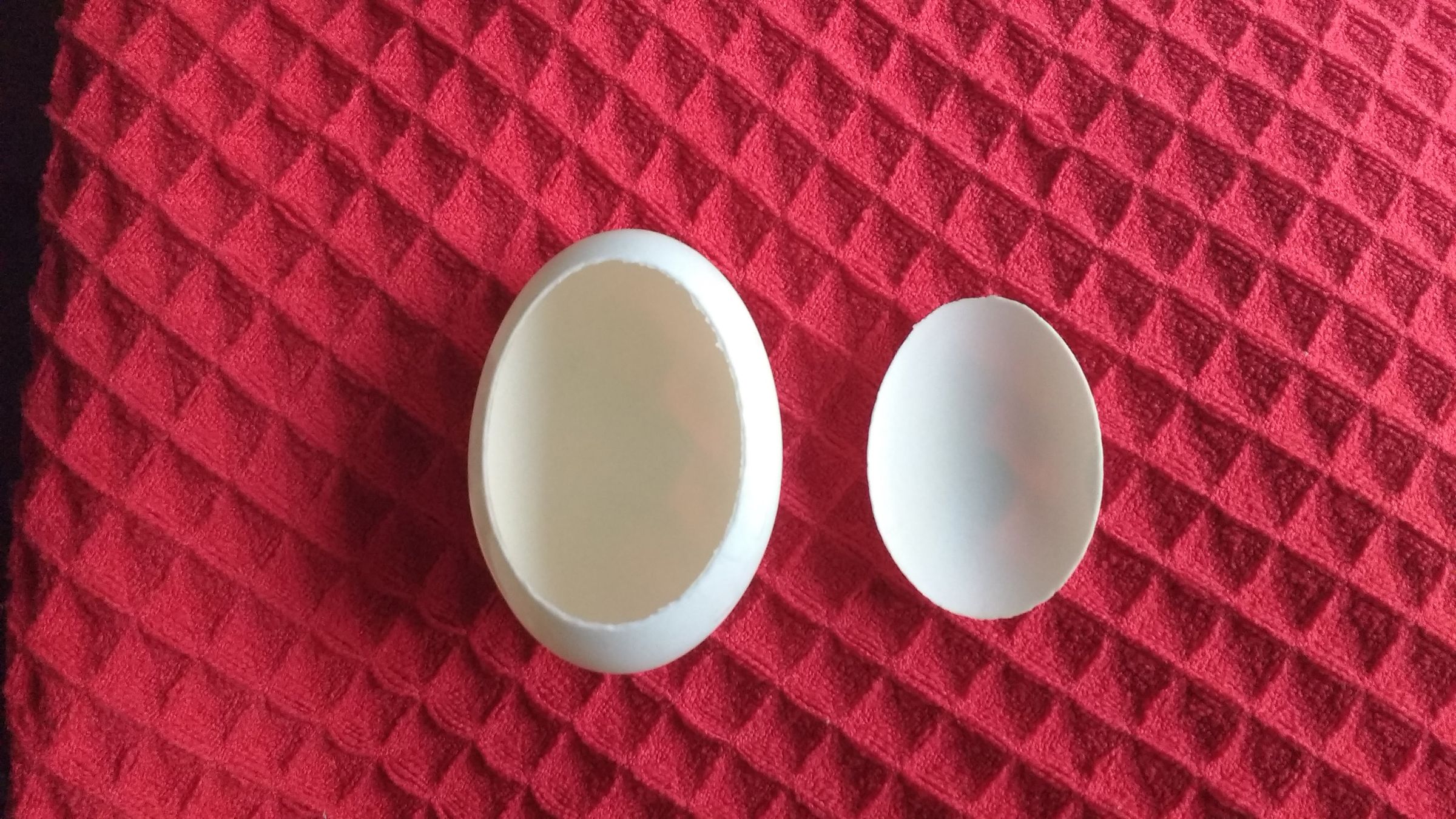 My Eggsibition : 7 Steps - Instructables