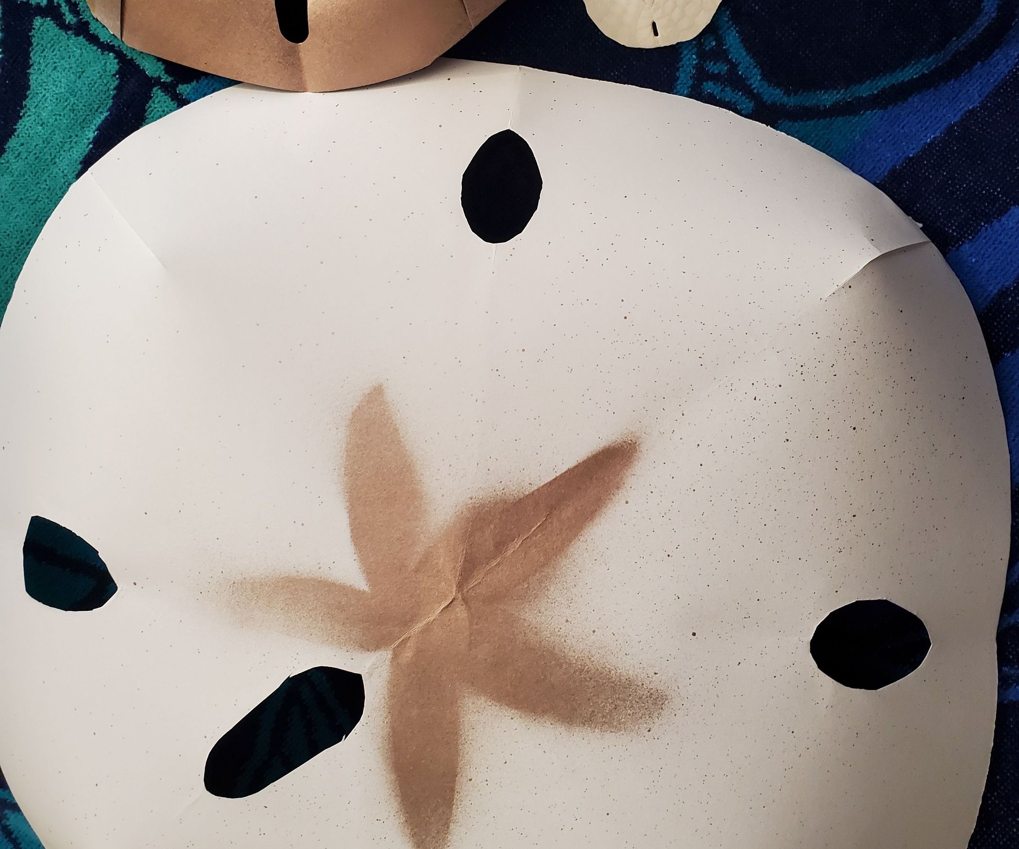 Super Sized Sand Dollar : 5 Steps - Instructables