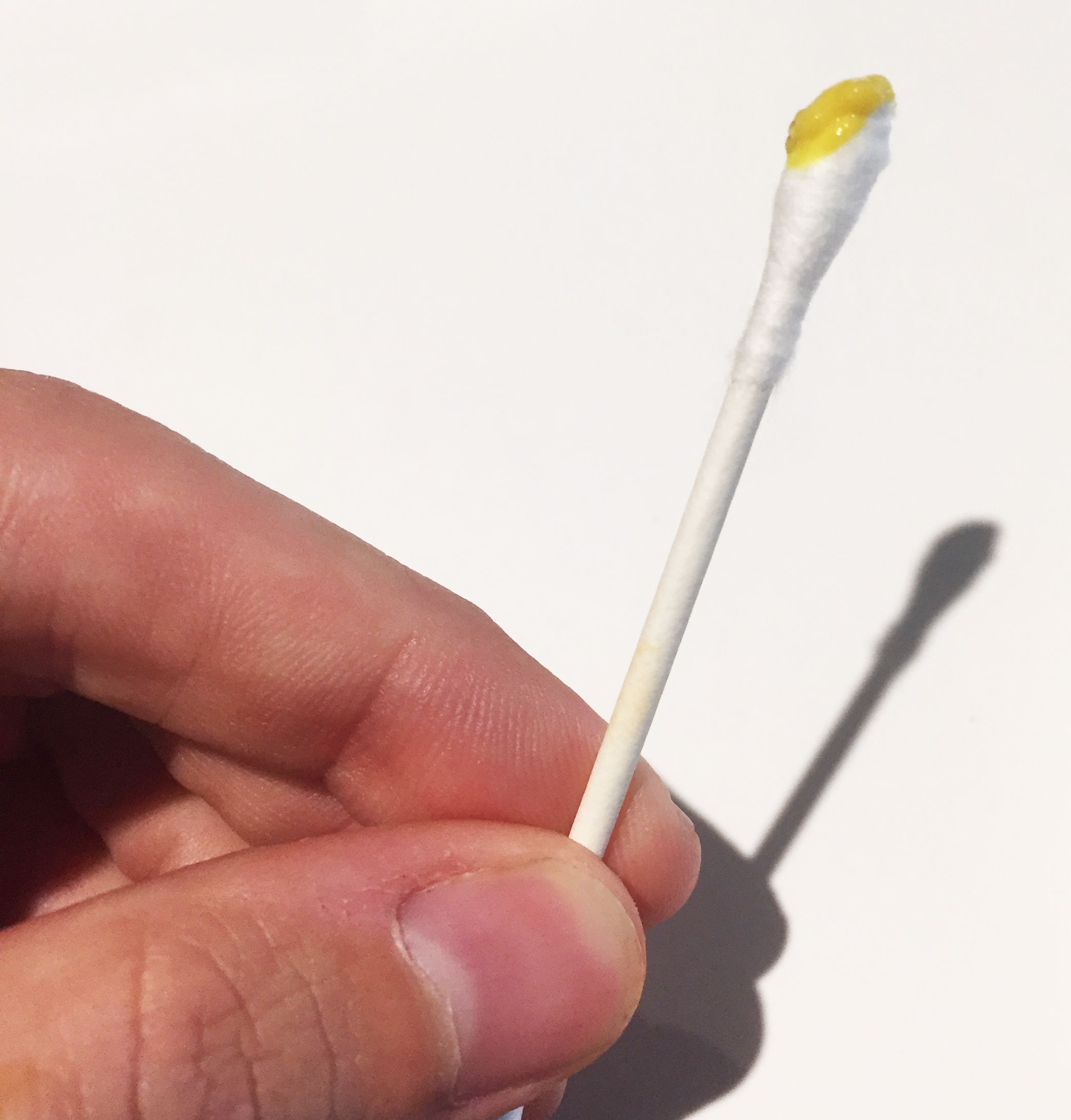 How to Grow SLIME MOLD : 9 Steps (with Pictures) - Instructables