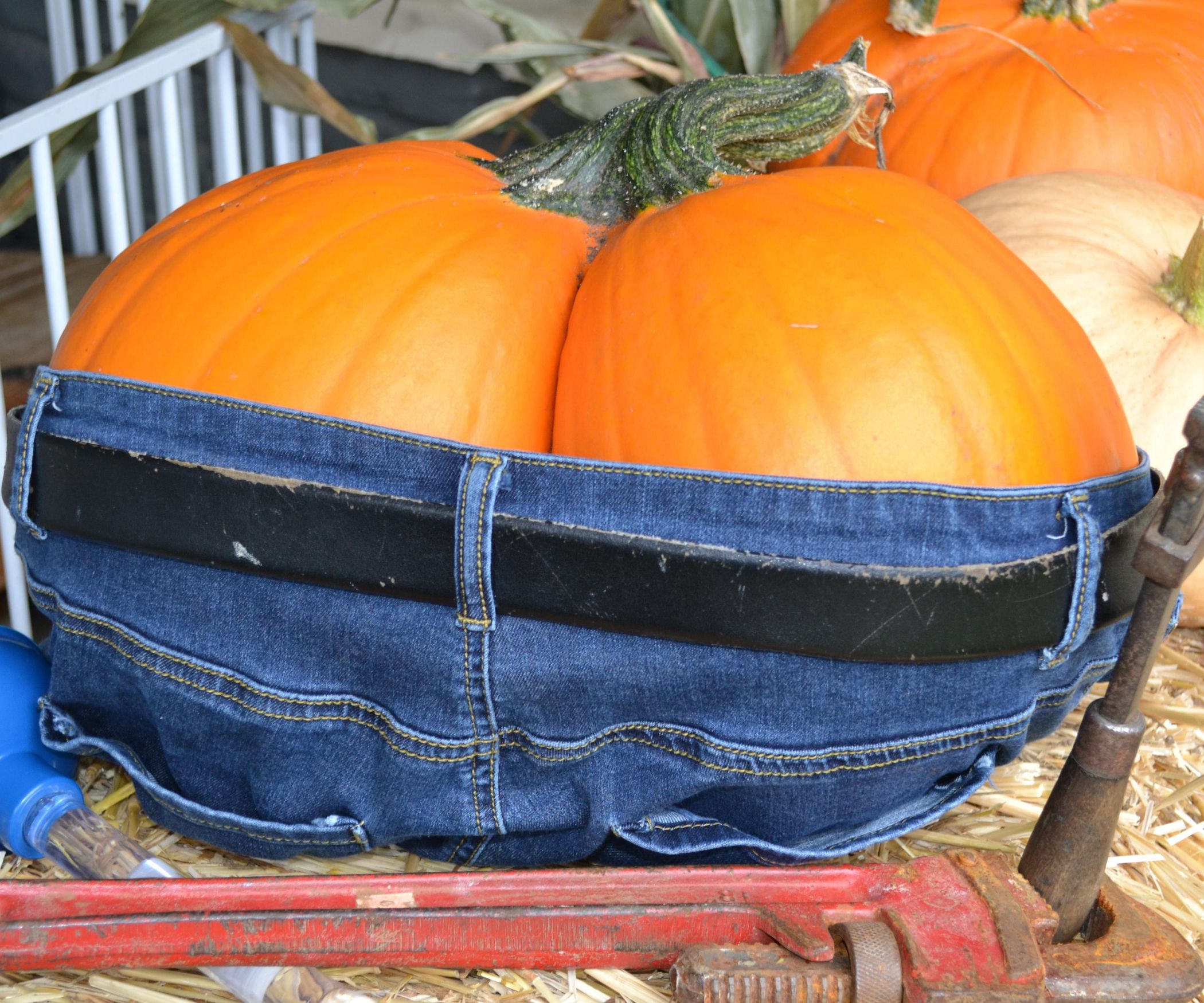 What Does a Rumpkin at Work Look Like? : 3 Steps (with Pictures ...