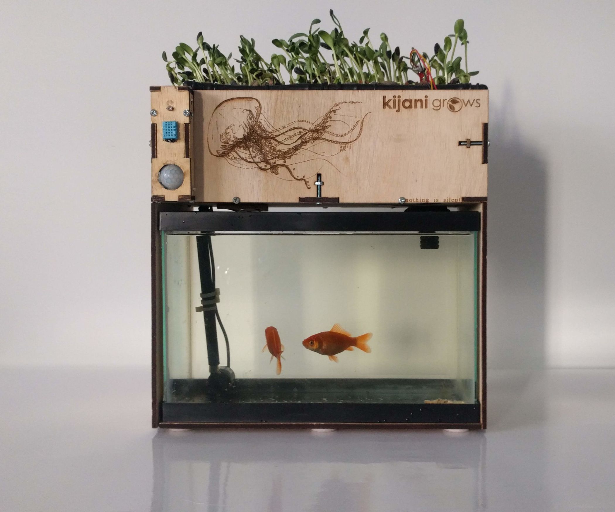 Making a Small Aquaponics Kit - Jellyfish : 6 Steps - Instructables