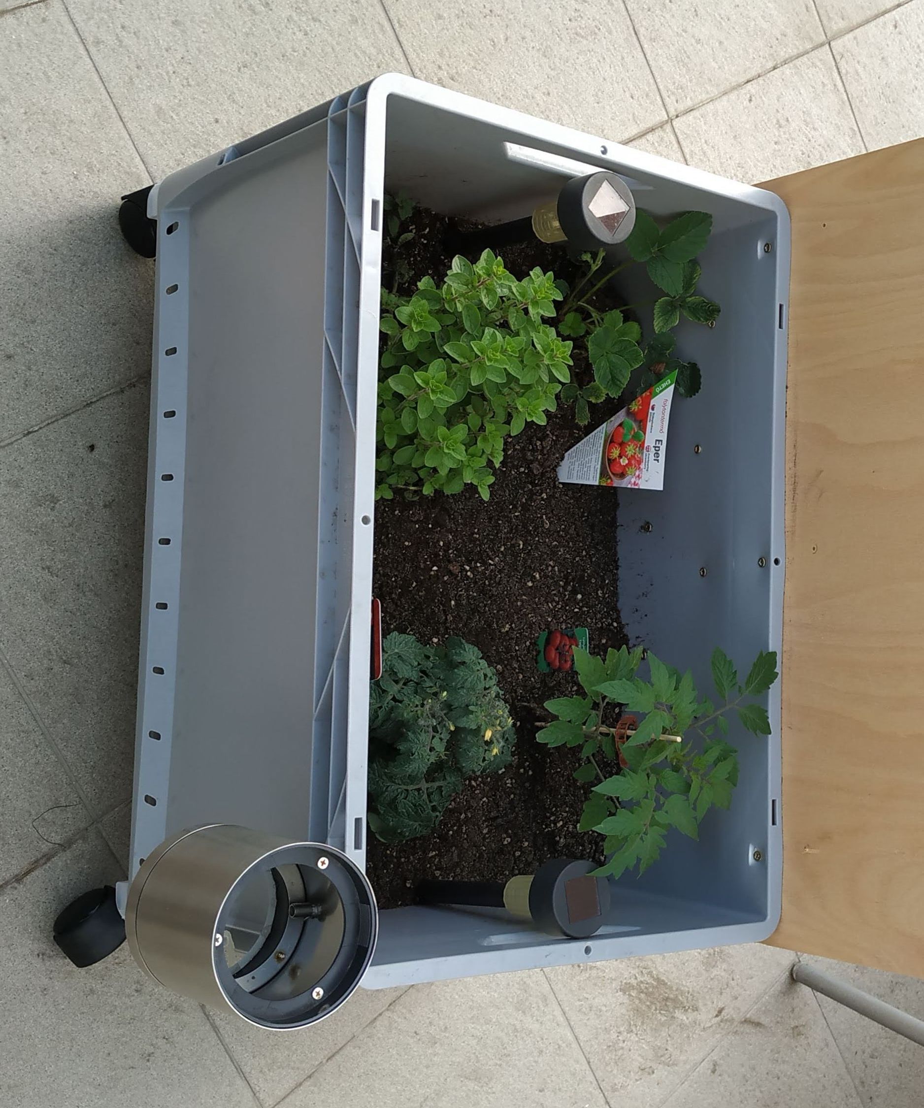 Rolling Plants : 3 Steps - Instructables