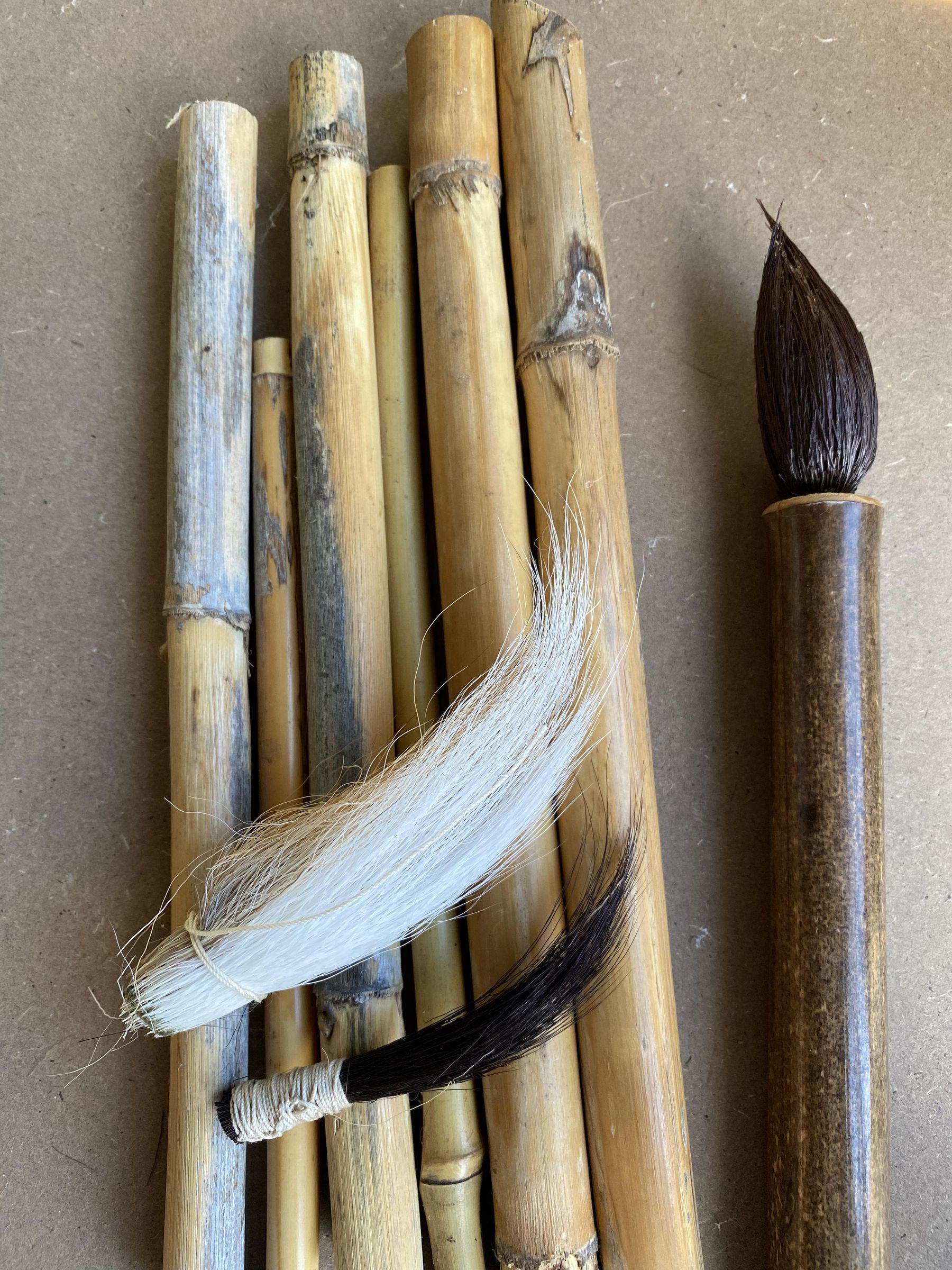 Homemade Glue Based on 40 000 Years Old Neanderthals Recipe : 10 Steps ...