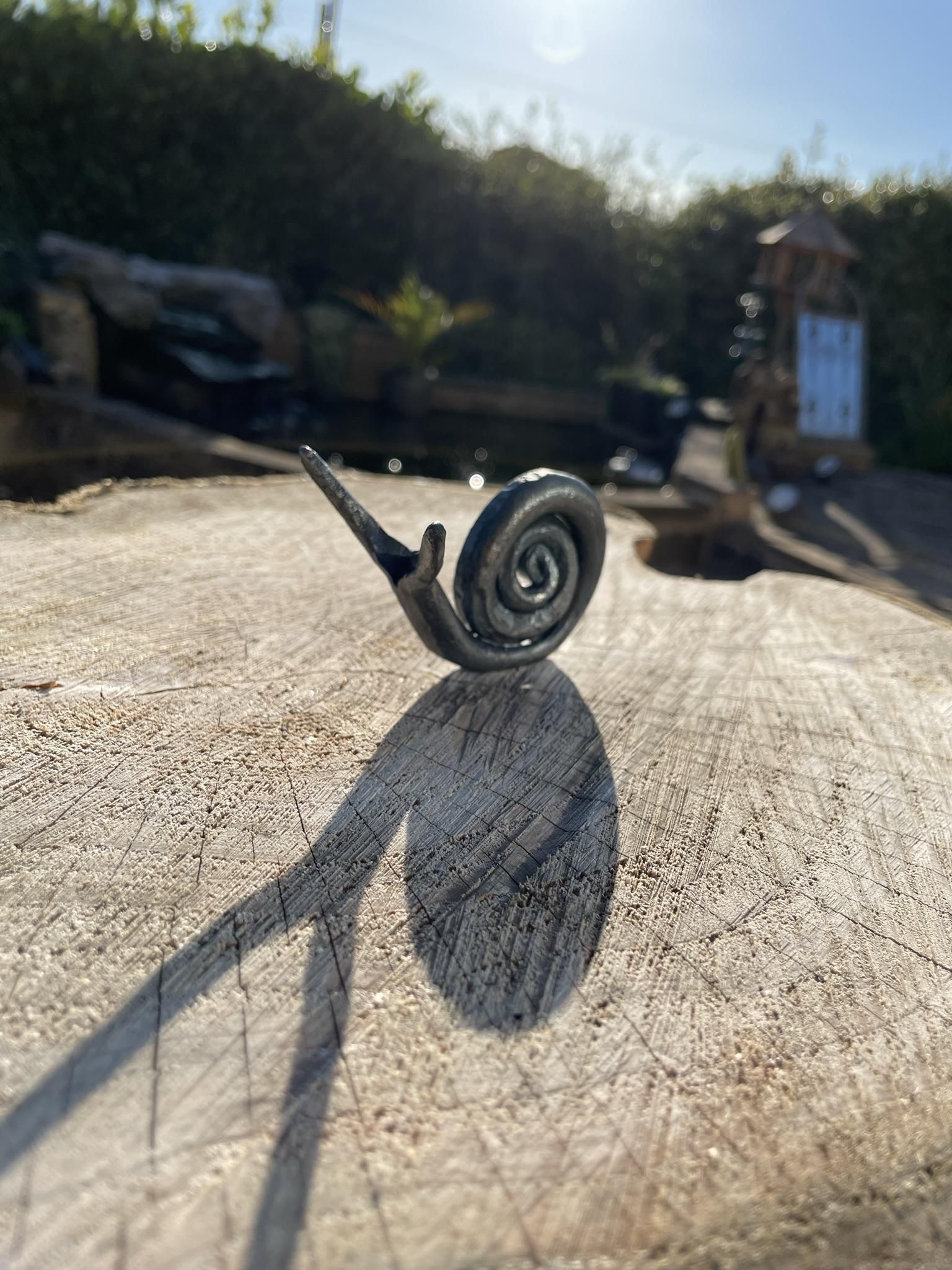 A Snail - With a Spring in It's Step : 8 Steps (with Pictures ...