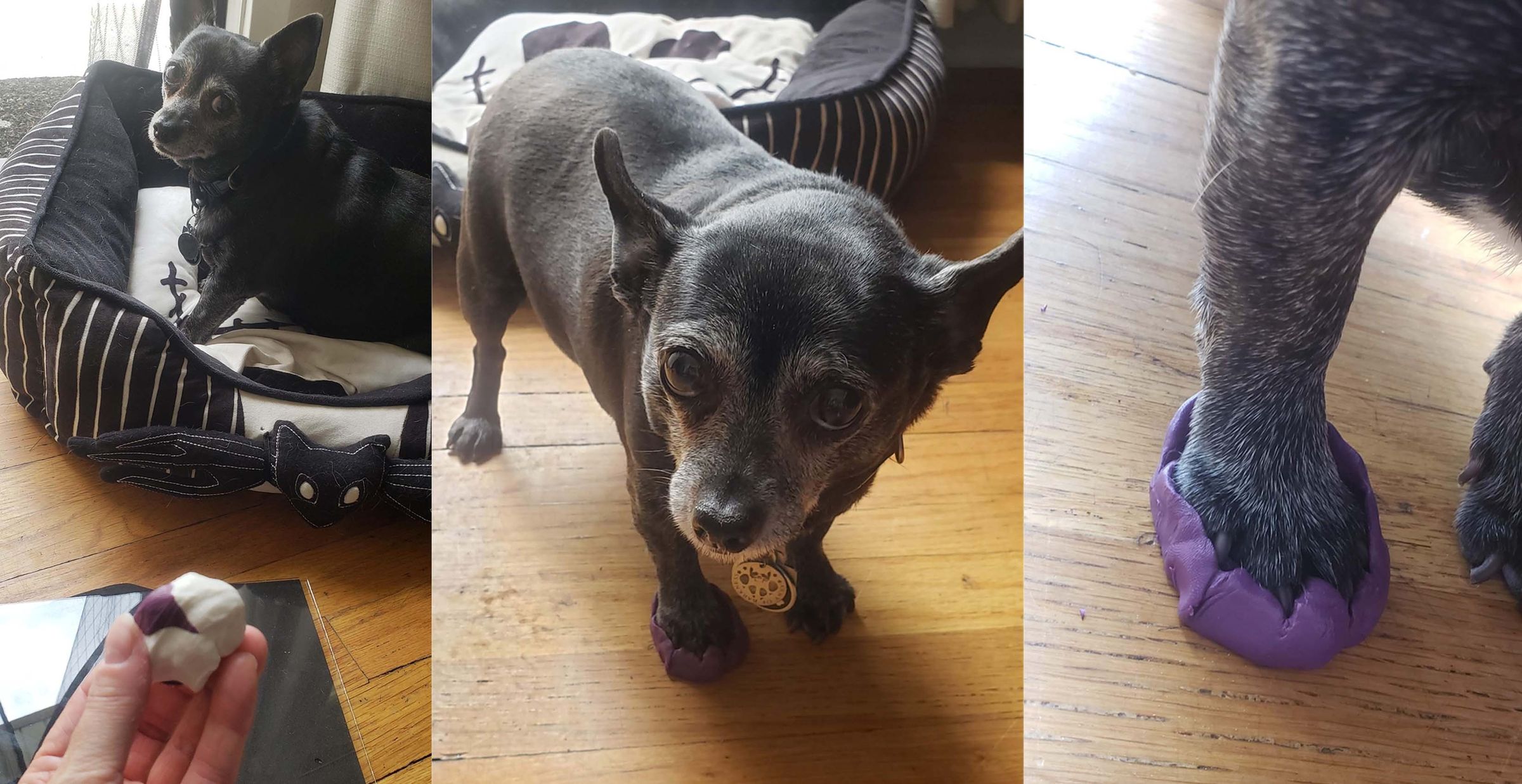 3D Printed Orthotic Shoes for a Tiny Dog : 9 Steps (with Pictures ...