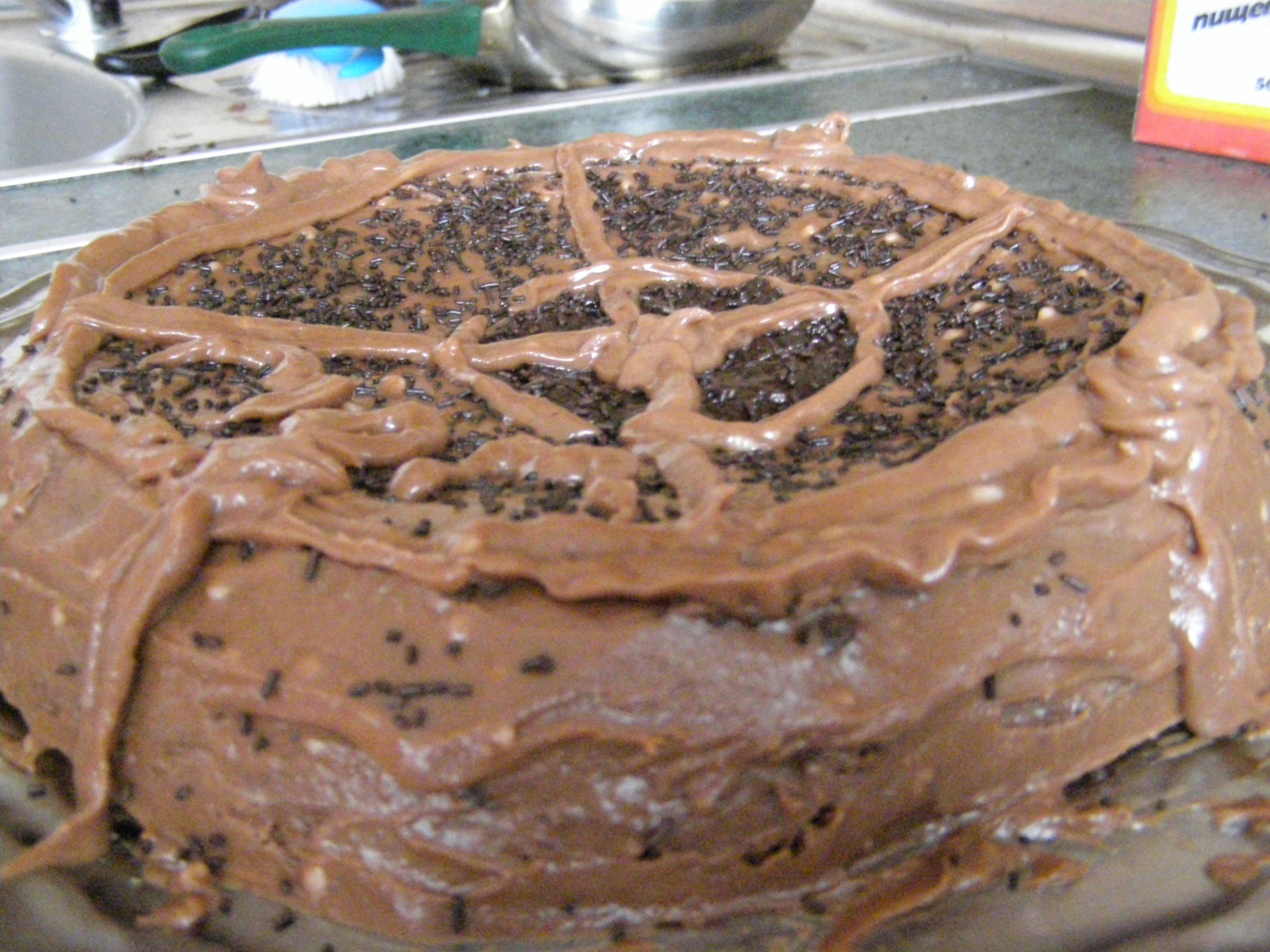 The "Way Too Chocolatey for Human Consumption" Cake : 9 Steps (with ...