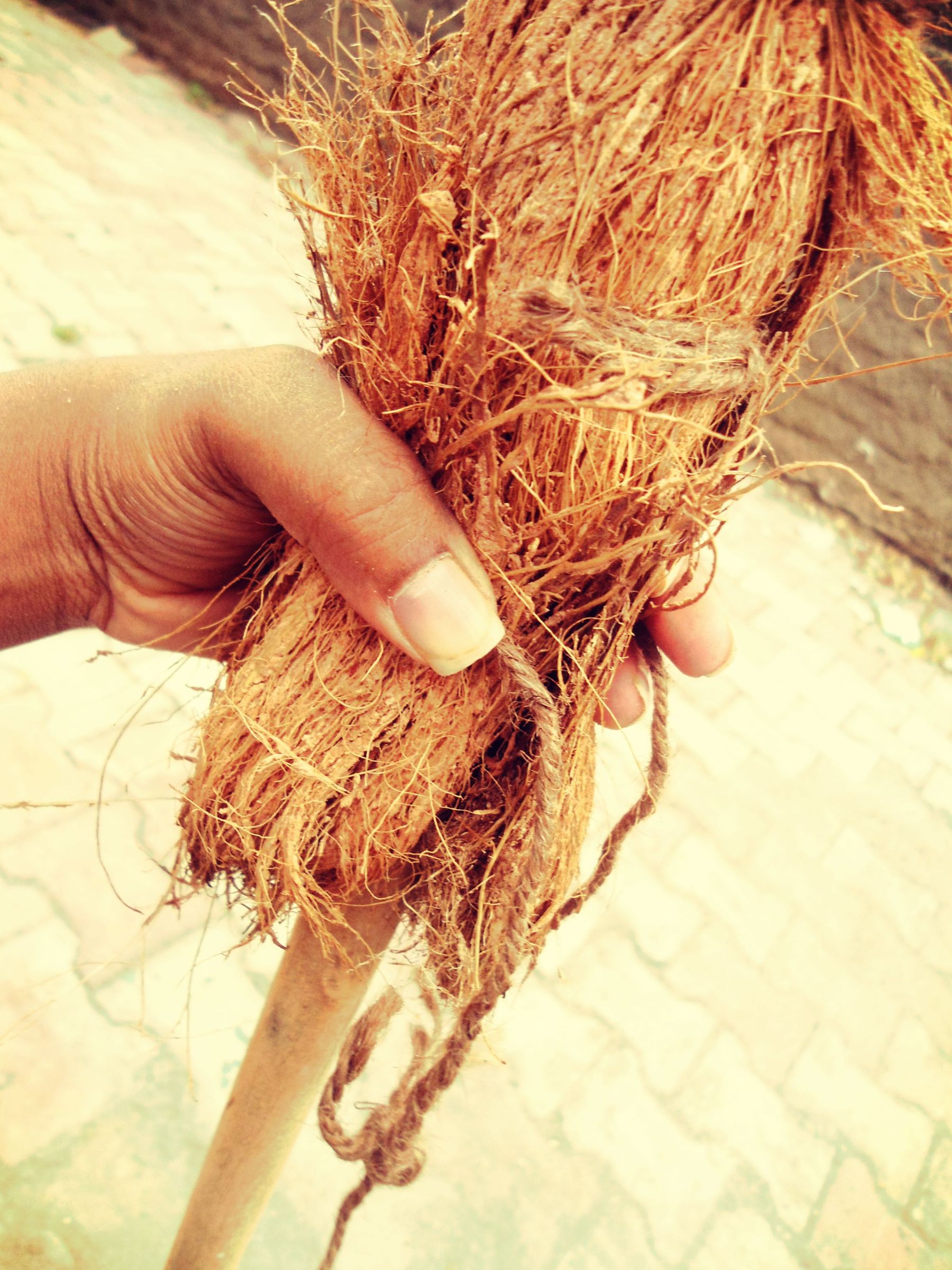 Climbing Pole for Plants From Coir. : 6 Steps - Instructables