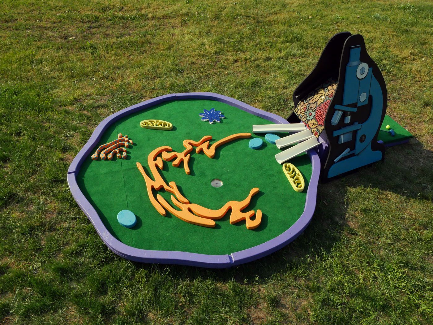 Human Cell Mini Golf : 14 Steps (with Pictures) - Instructables