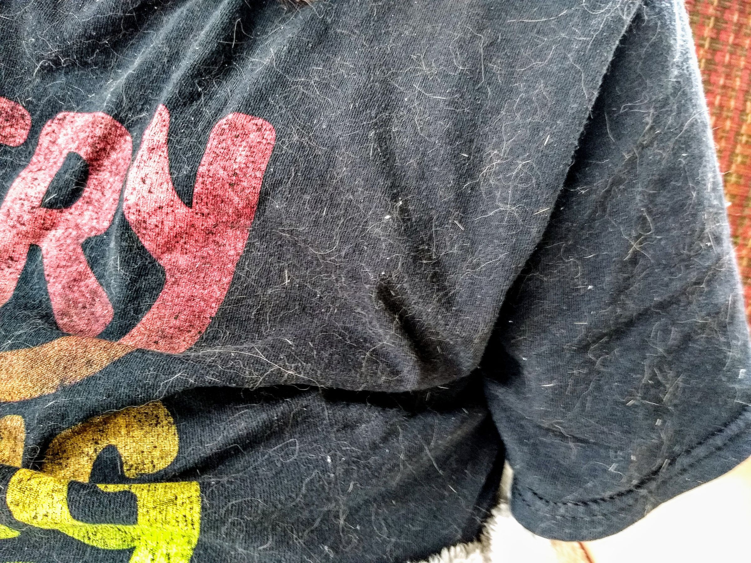 How To: Lull Your Cat to Sleep : 14 Steps (with Pictures) - Instructables