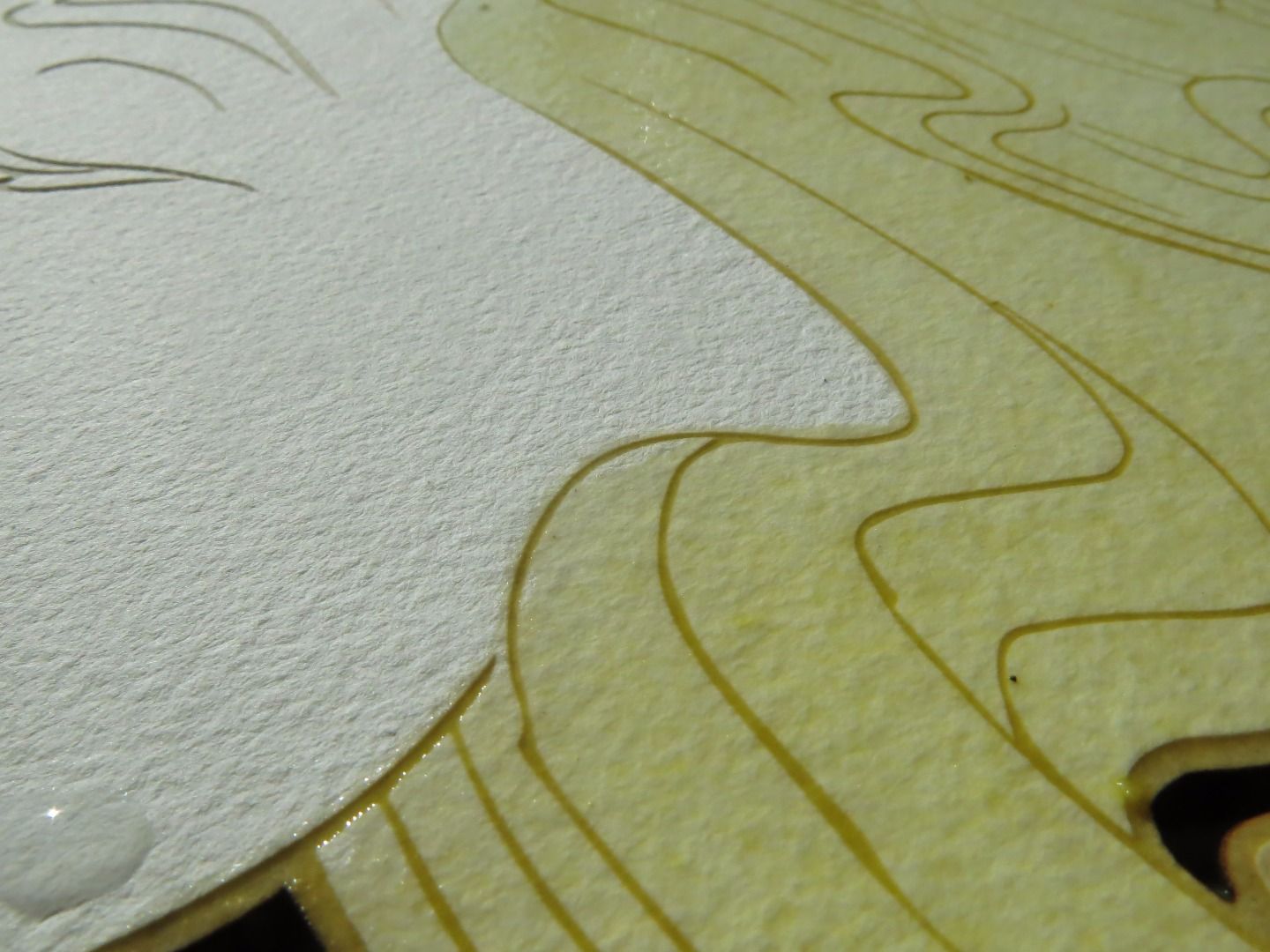 Getting Started With (laser) Etched-line Watercolor : 6 Steps ...