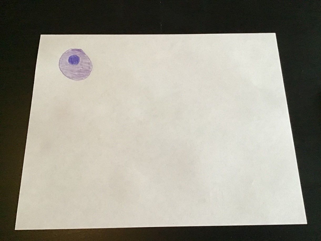 Build a Model of a Human Cell : 8 Steps (with Pictures) - Instructables