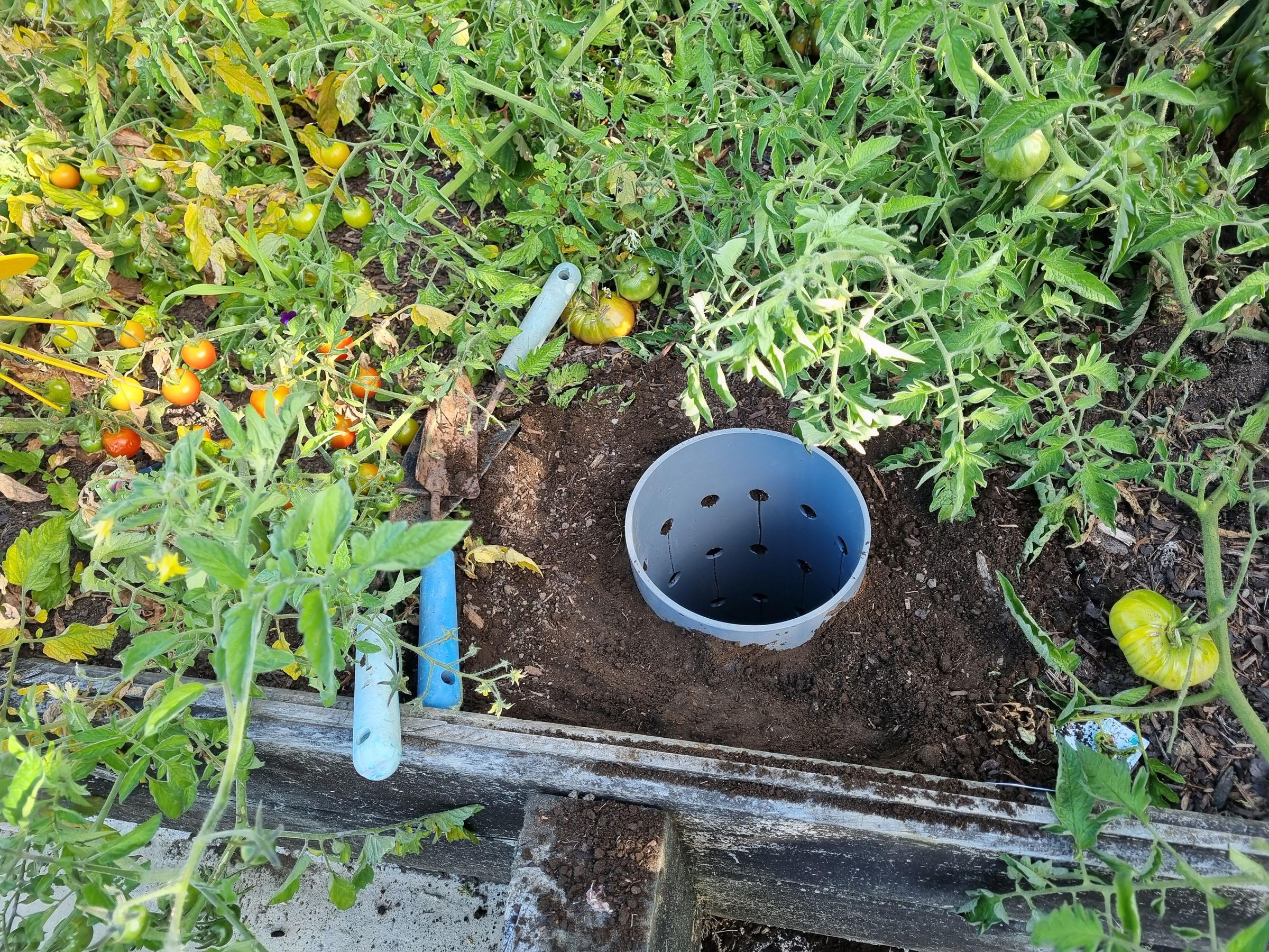 Worm Buffet : 10 Steps (with Pictures) - Instructables