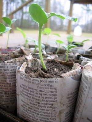 Newspaper Planters : 10 Steps (with Pictures) - Instructables